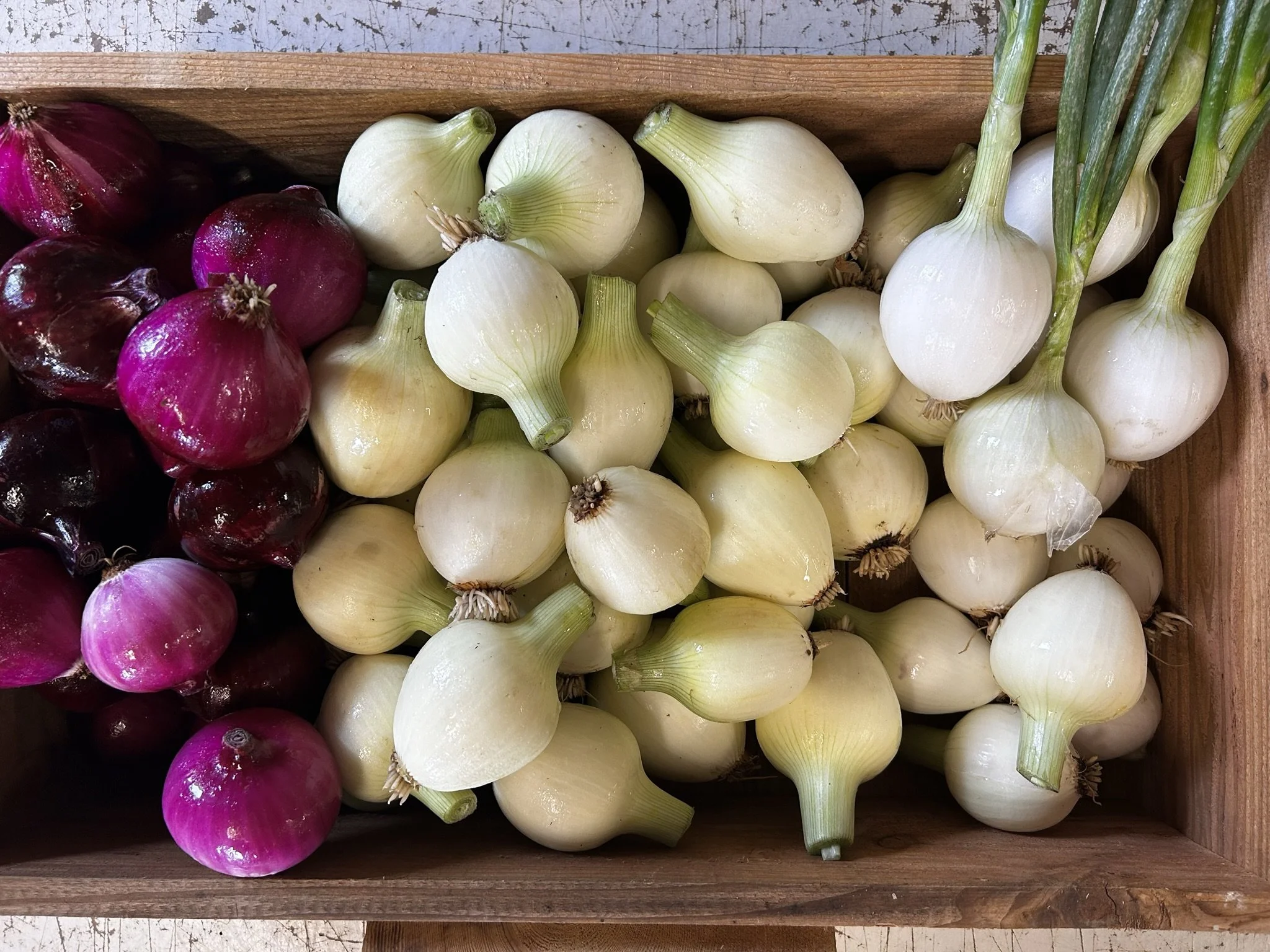 Farmers Market — Crown Point Ecology Center