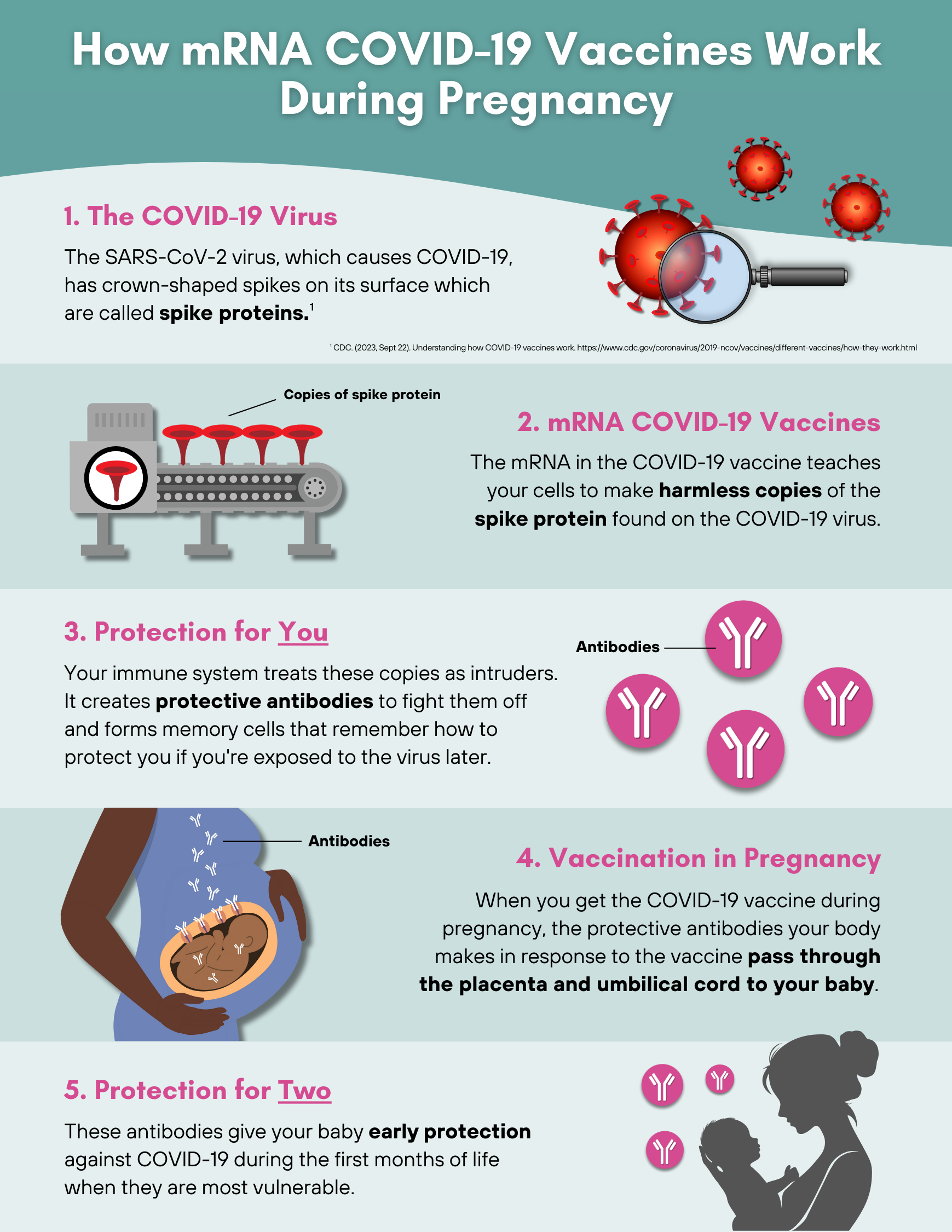 Infographics — Vaccines in Pregnancy Canada
