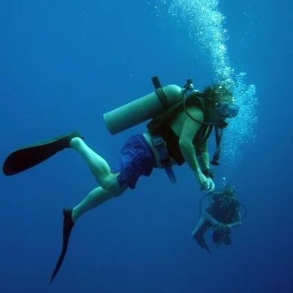 Metro-Detroit Scuba Diving Certification