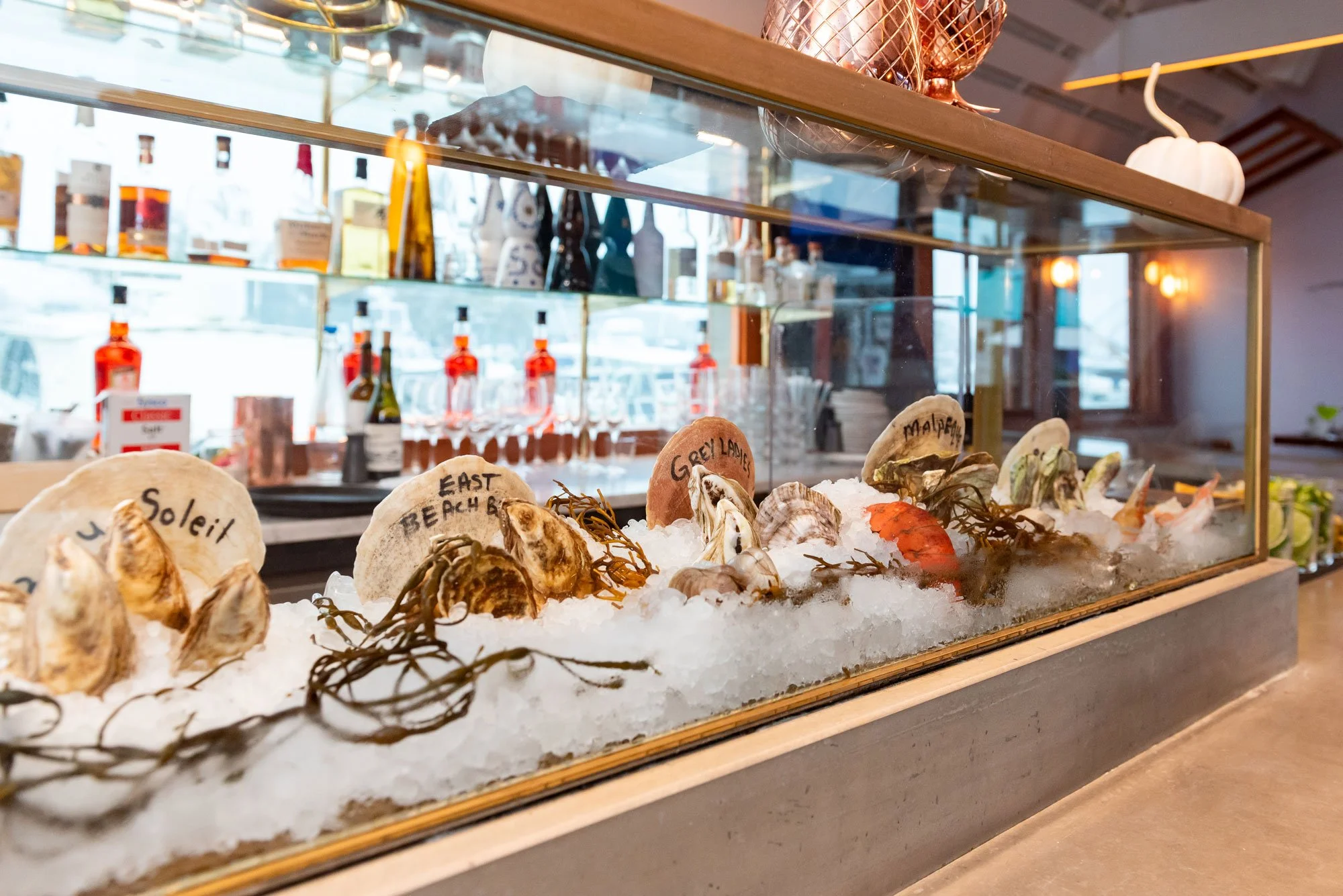 Gallery — bar Yoshi