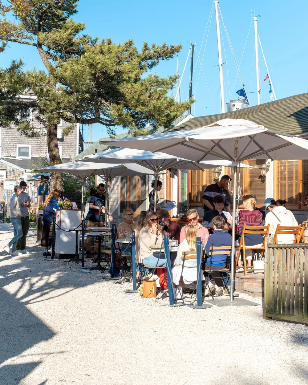 Gallery — bar Yoshi