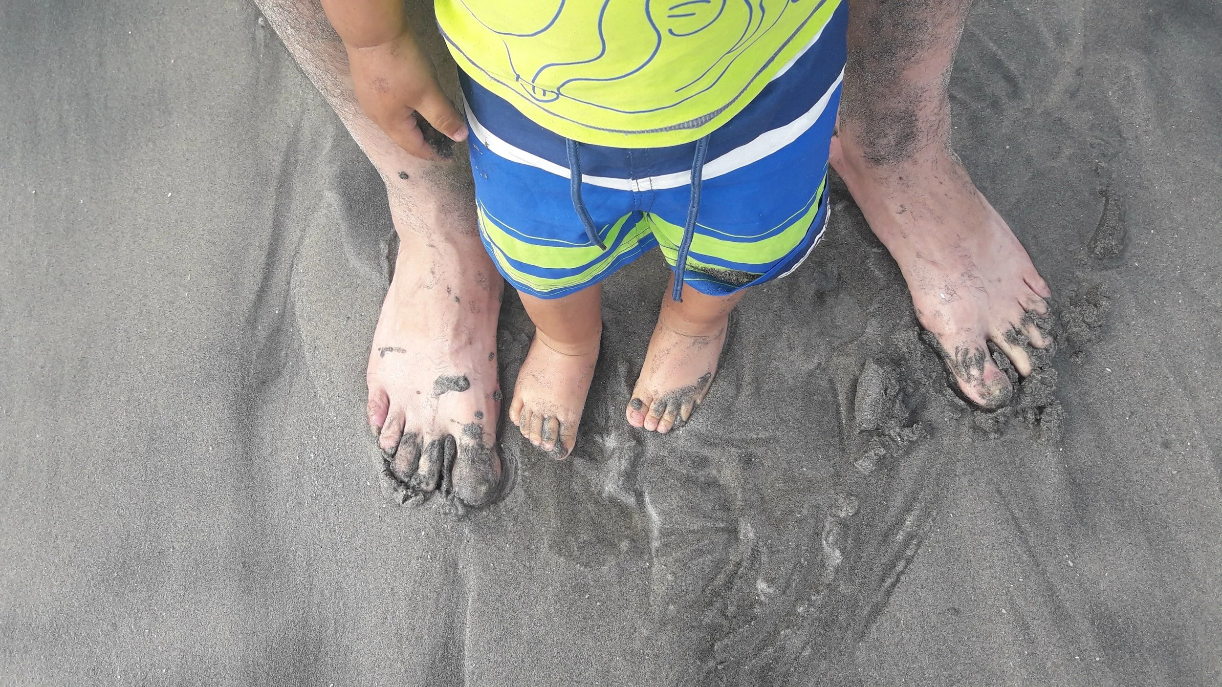 Sunshine State Adoption and Home Study Services