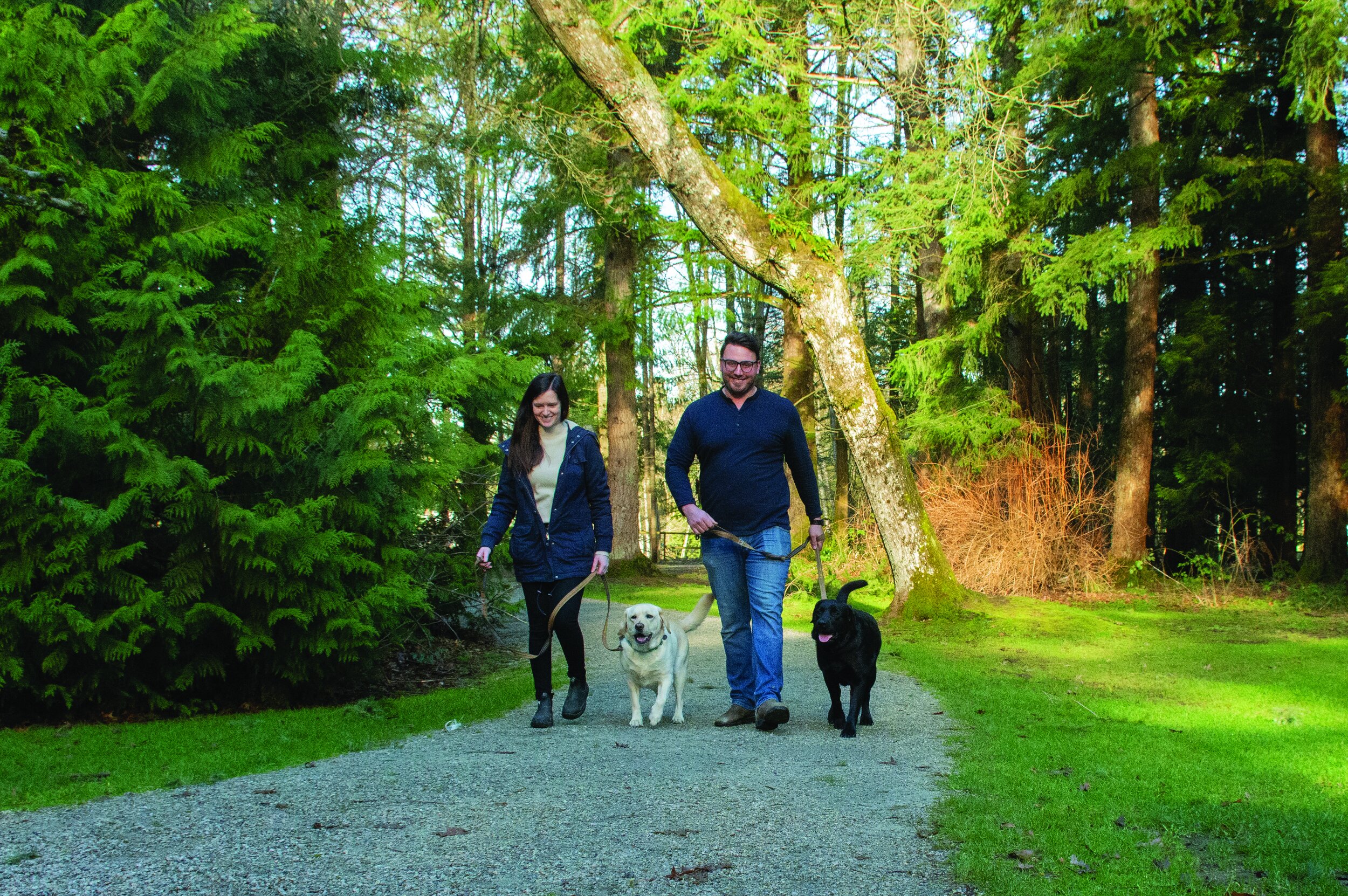 Projects — The Langley Foundation