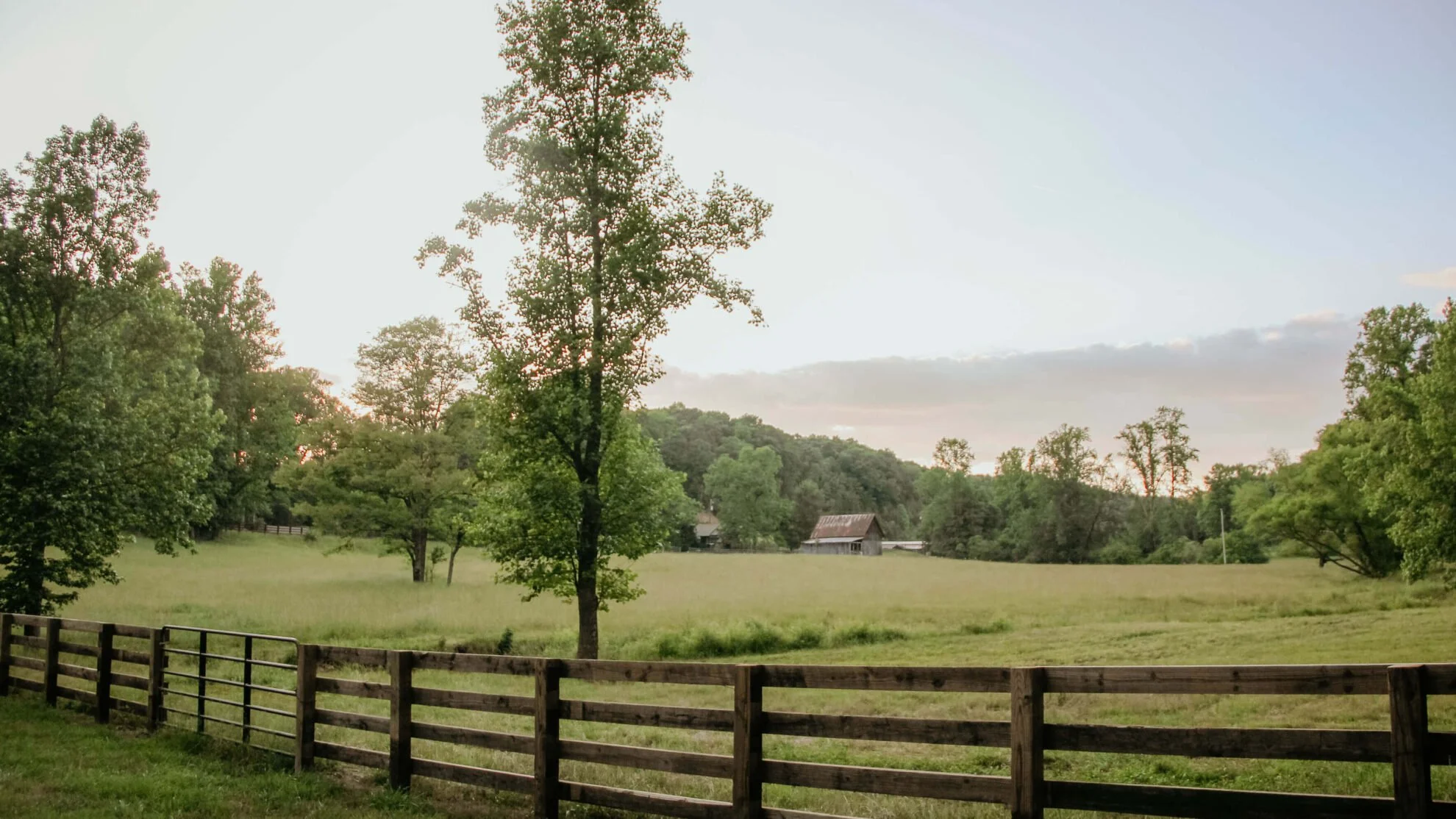 Packages — Wimpy Farms