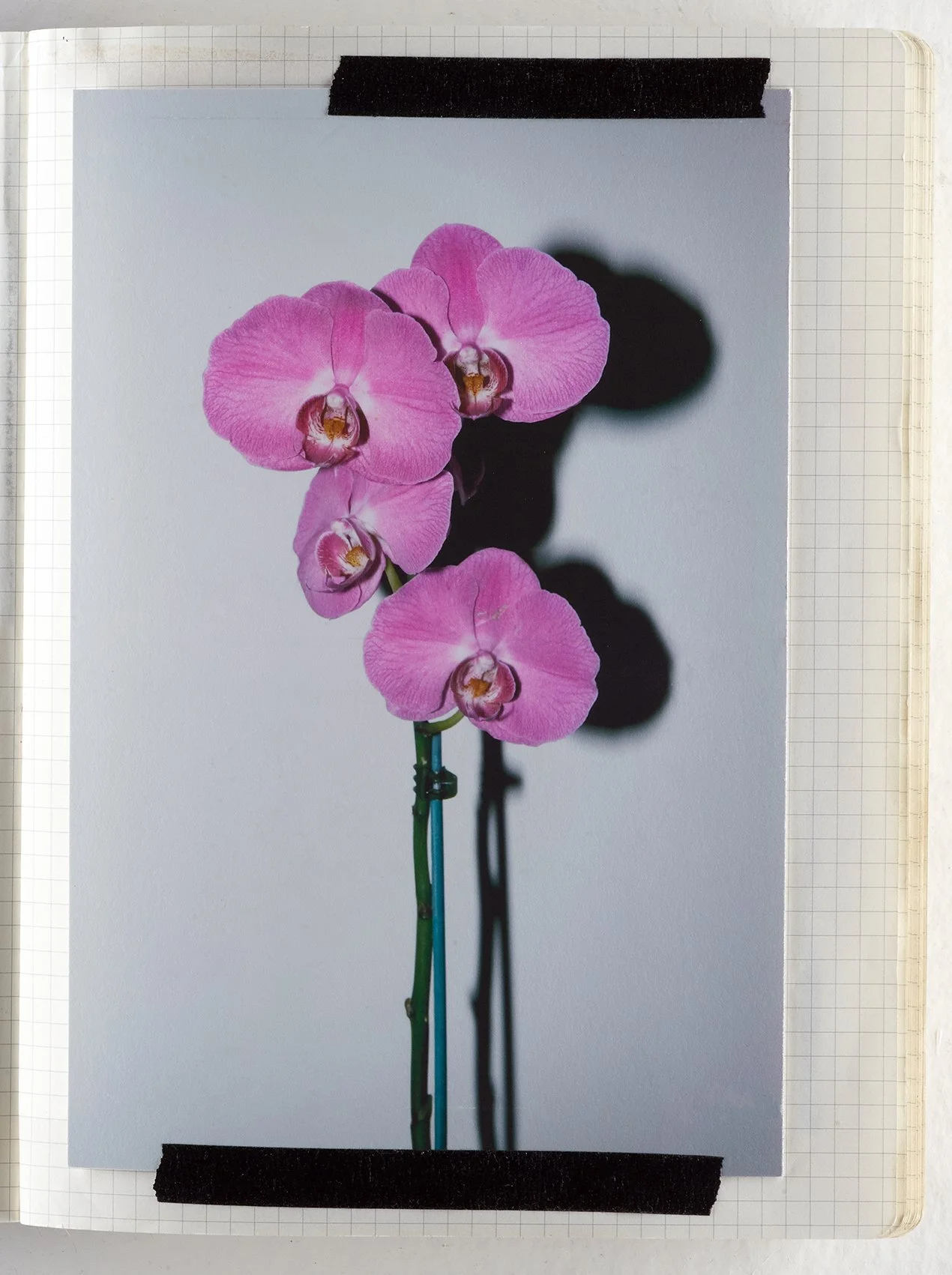 Scrap Doyle by Max Doyle — Hunter & Folk