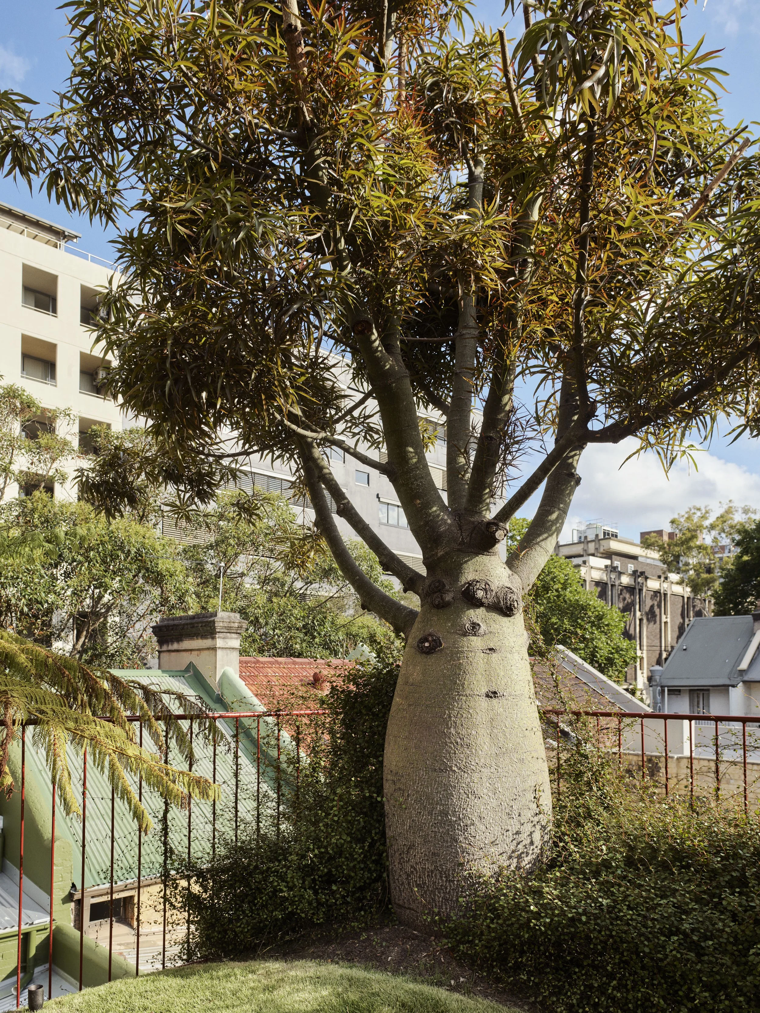 19 Waterloo Street – Unveiling the Layers of History — Hunter & Folk