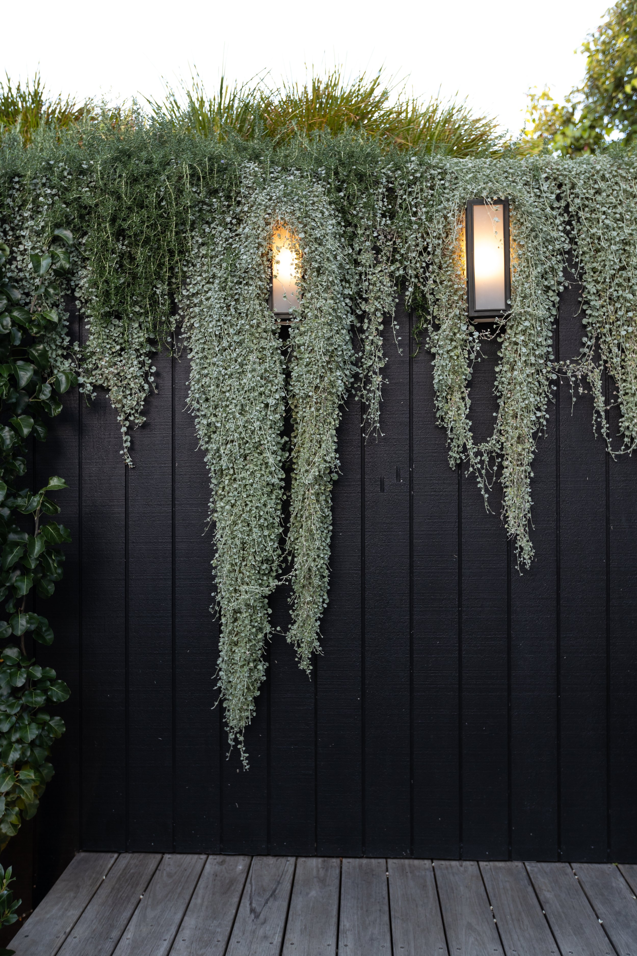 A Luminous, Layered & Functional Courtyard by Mike Cass Creative ...