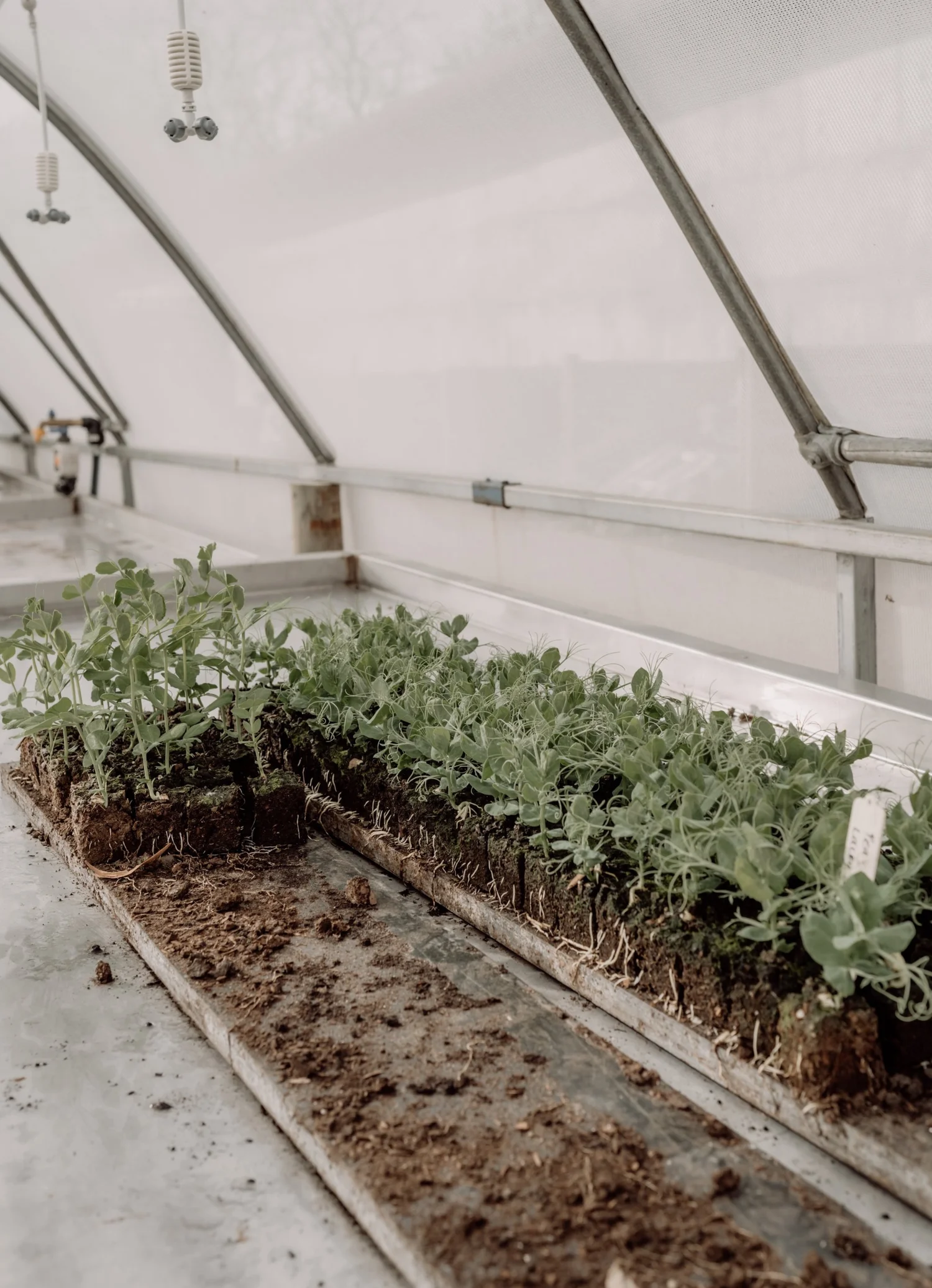 The Agrarian Kitchen—A Living Celebration of Seasonality and Place ...