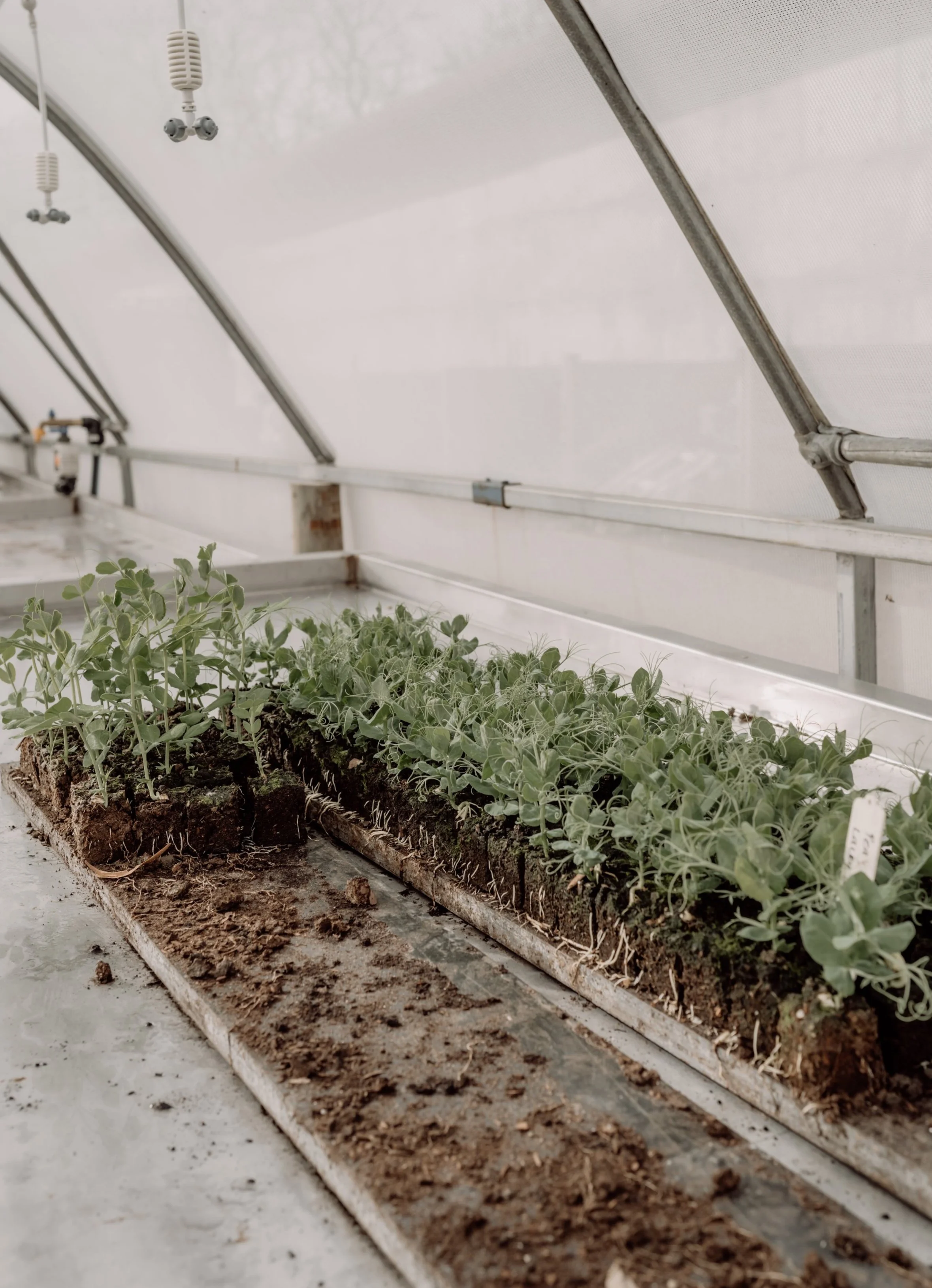 The Agrarian Kitchen—A Living Celebration of Seasonality and Place ...