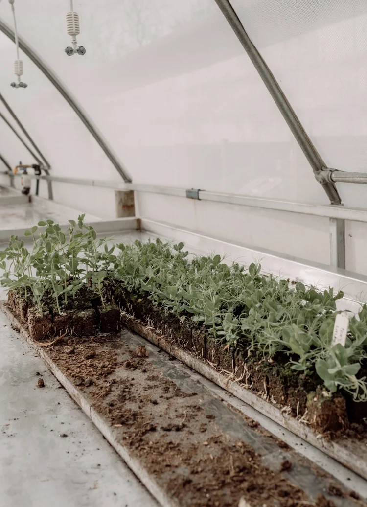 The Agrarian Kitchen—A Living Celebration of Seasonality and Place ...