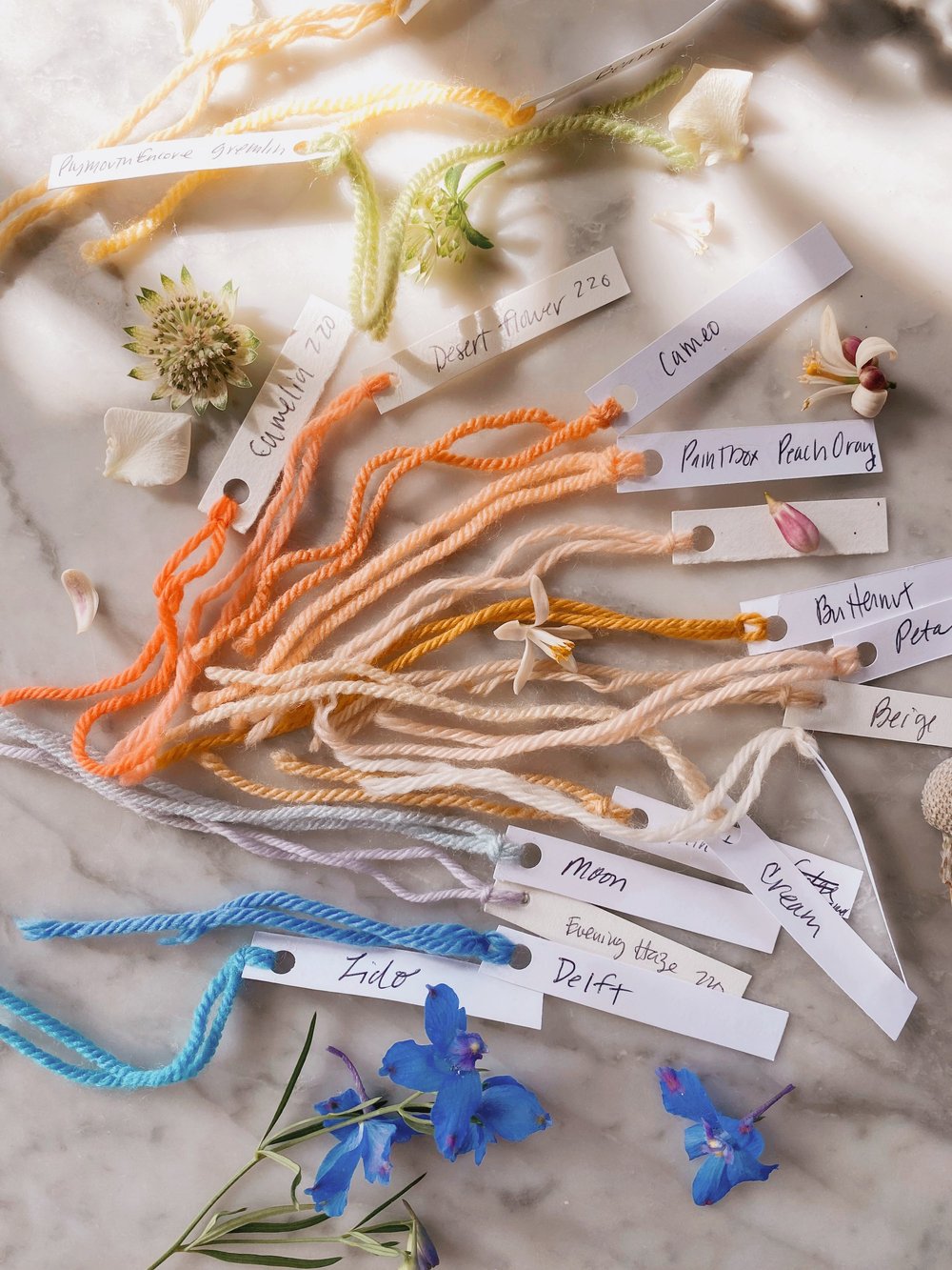 Hayley Sheldon — Hunter & Folk