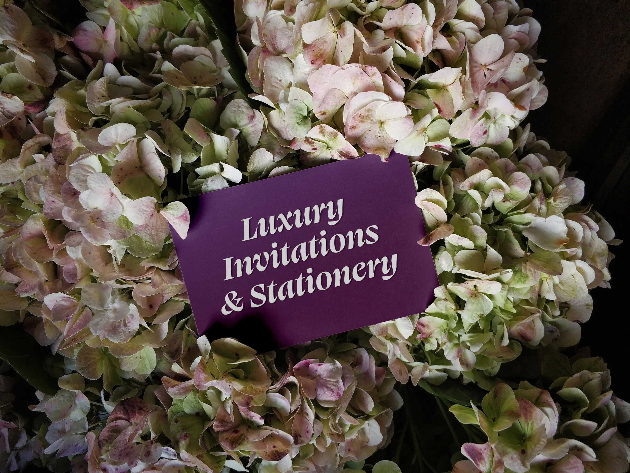 Amanda Creighton Design