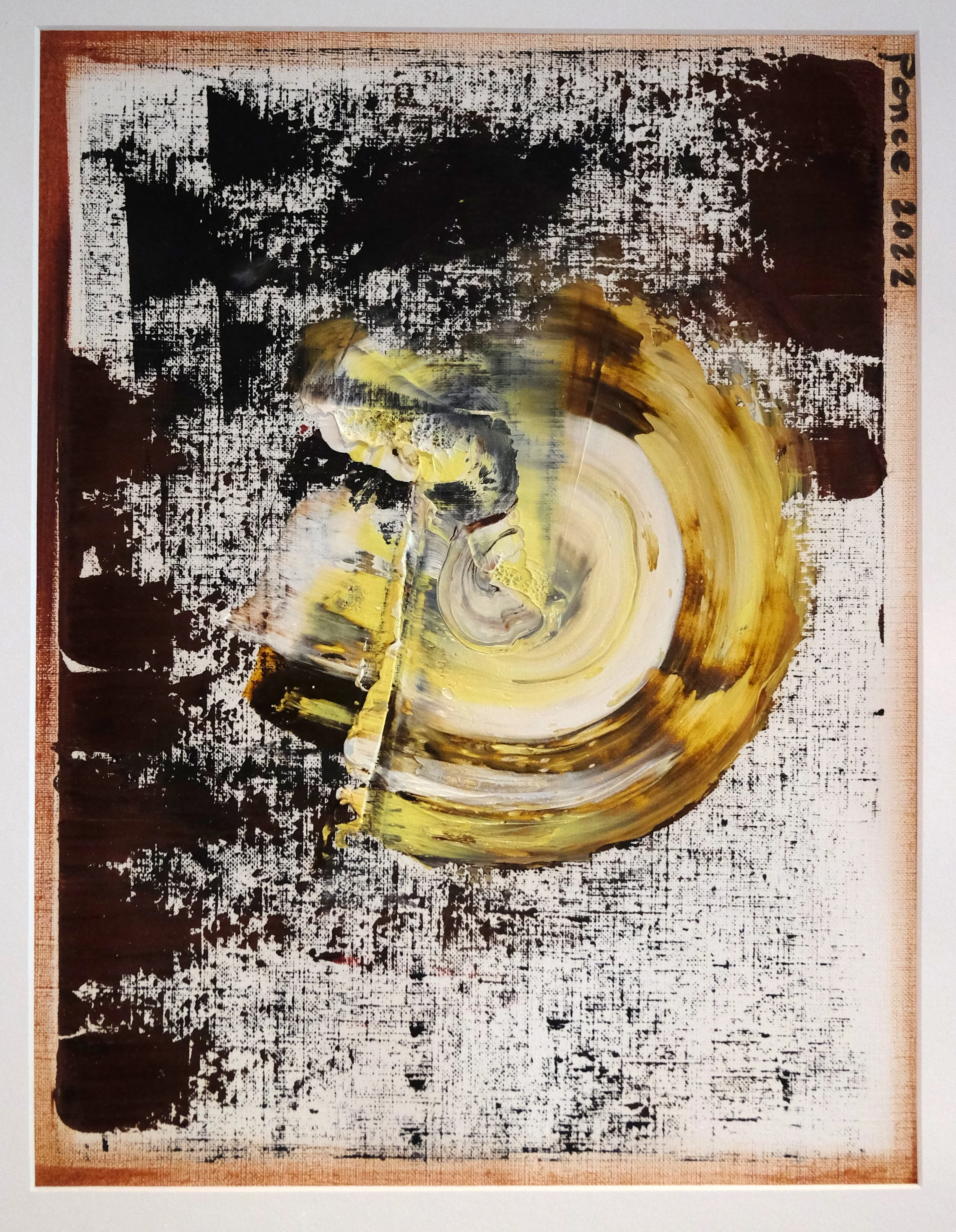 Petrified Shell 4 — Studio 88