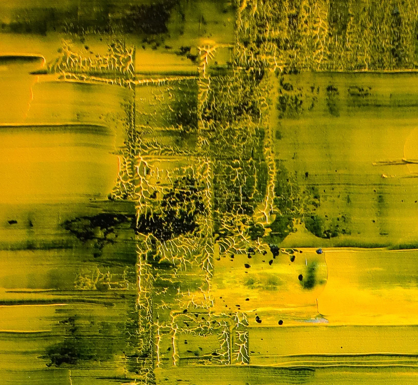 ARTWORK — Studio 88