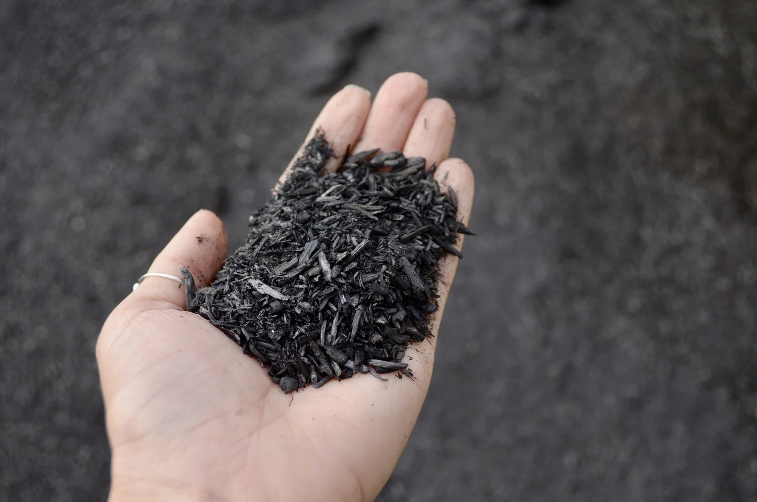 Promoting Regeneration Through Biochar Production — Sitos Group ...