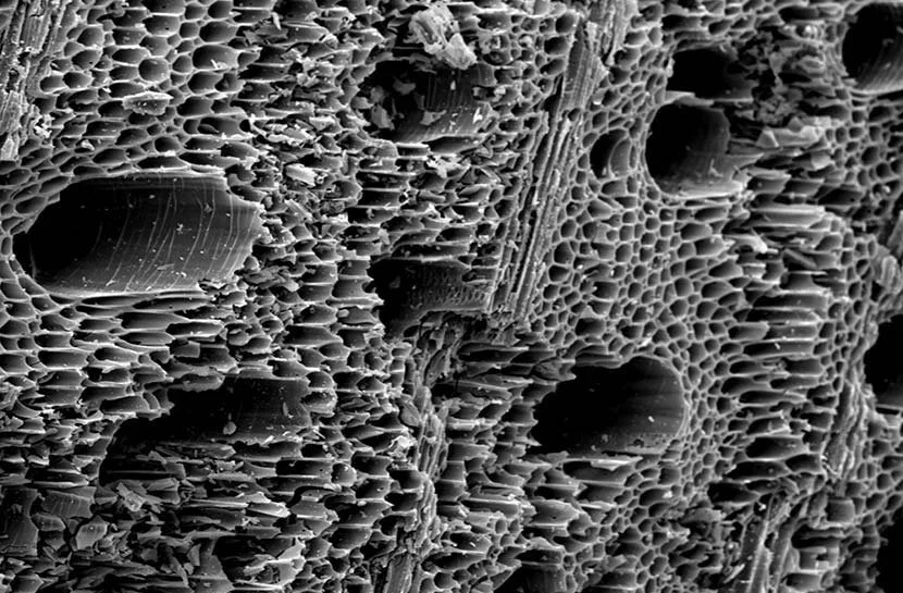 What is Biochar — Sitos Group: Durable Biochar Production & Carbon ...