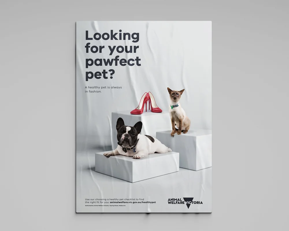EDUCATION ADVERTISING CAMPAIGN - ANIMAL WELFARE