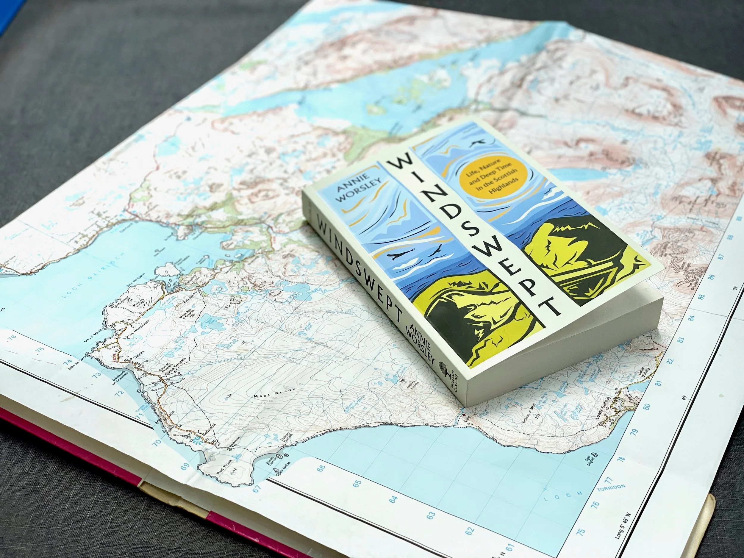 Windswept — Annie Worsley