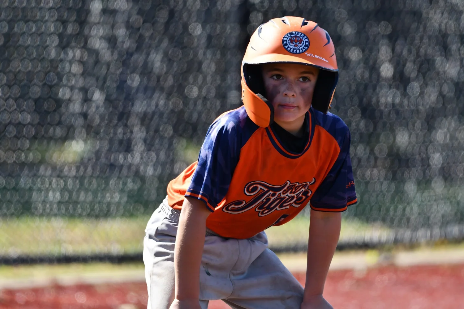 About — Rockville Centre Tigers