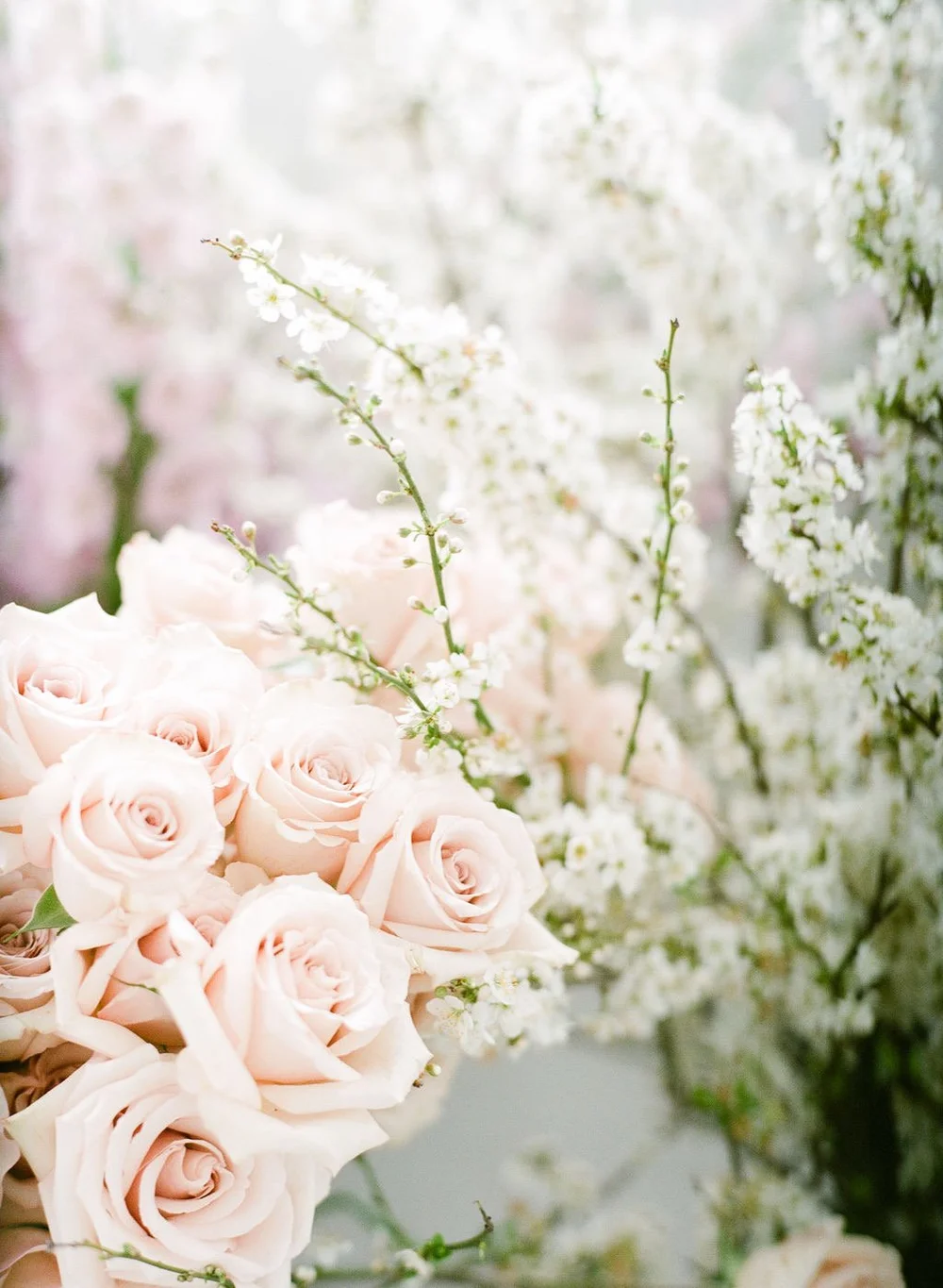 Trille Floral