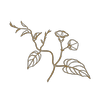 Trille Floral
