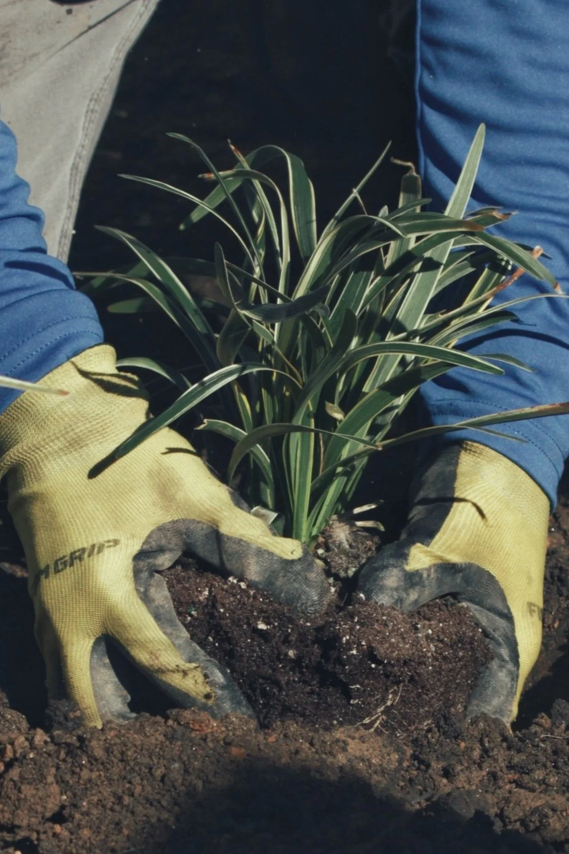 dualedgelandscaping.com