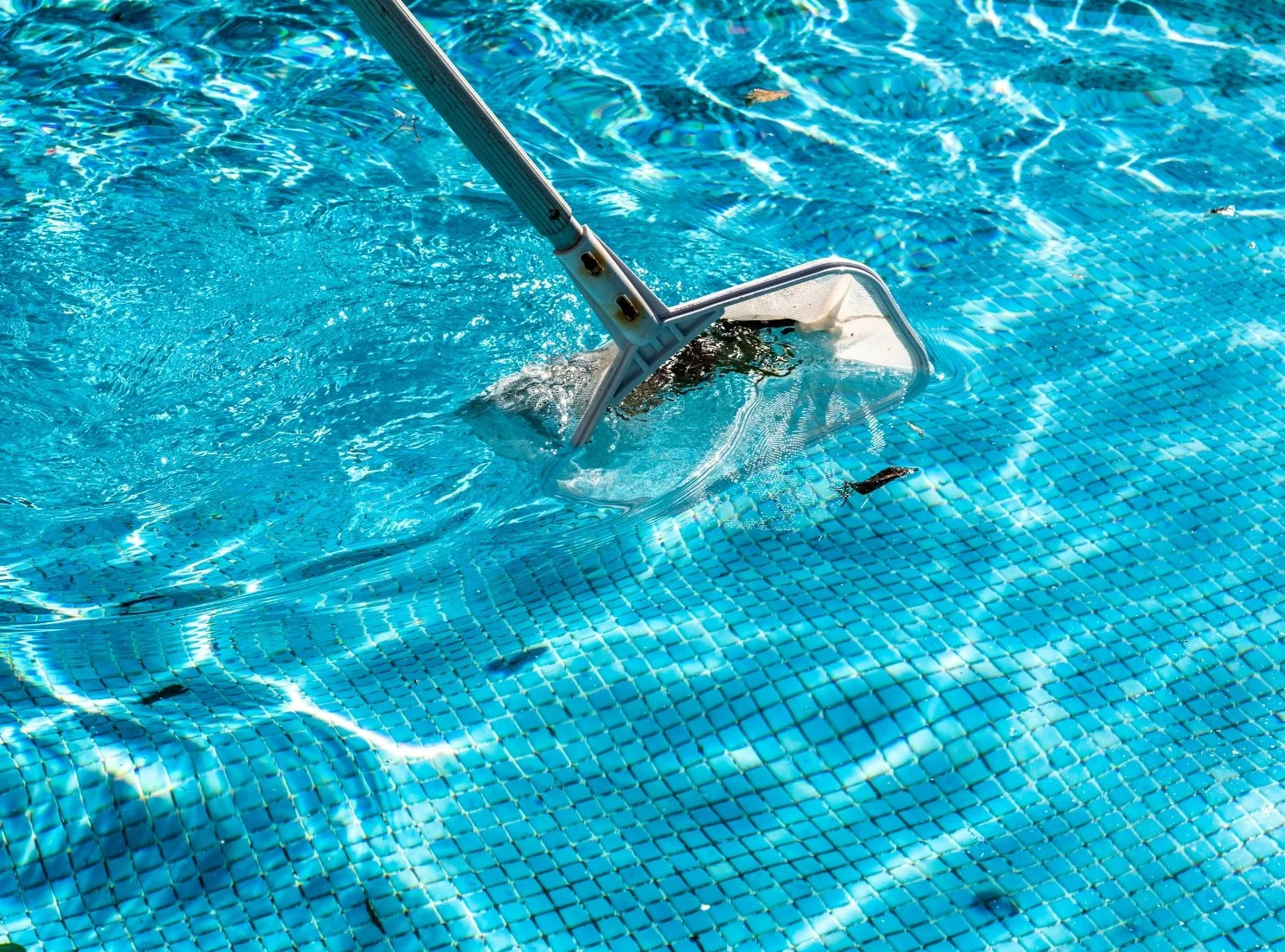 Pool Cleaning Service - Tropic Life Pools