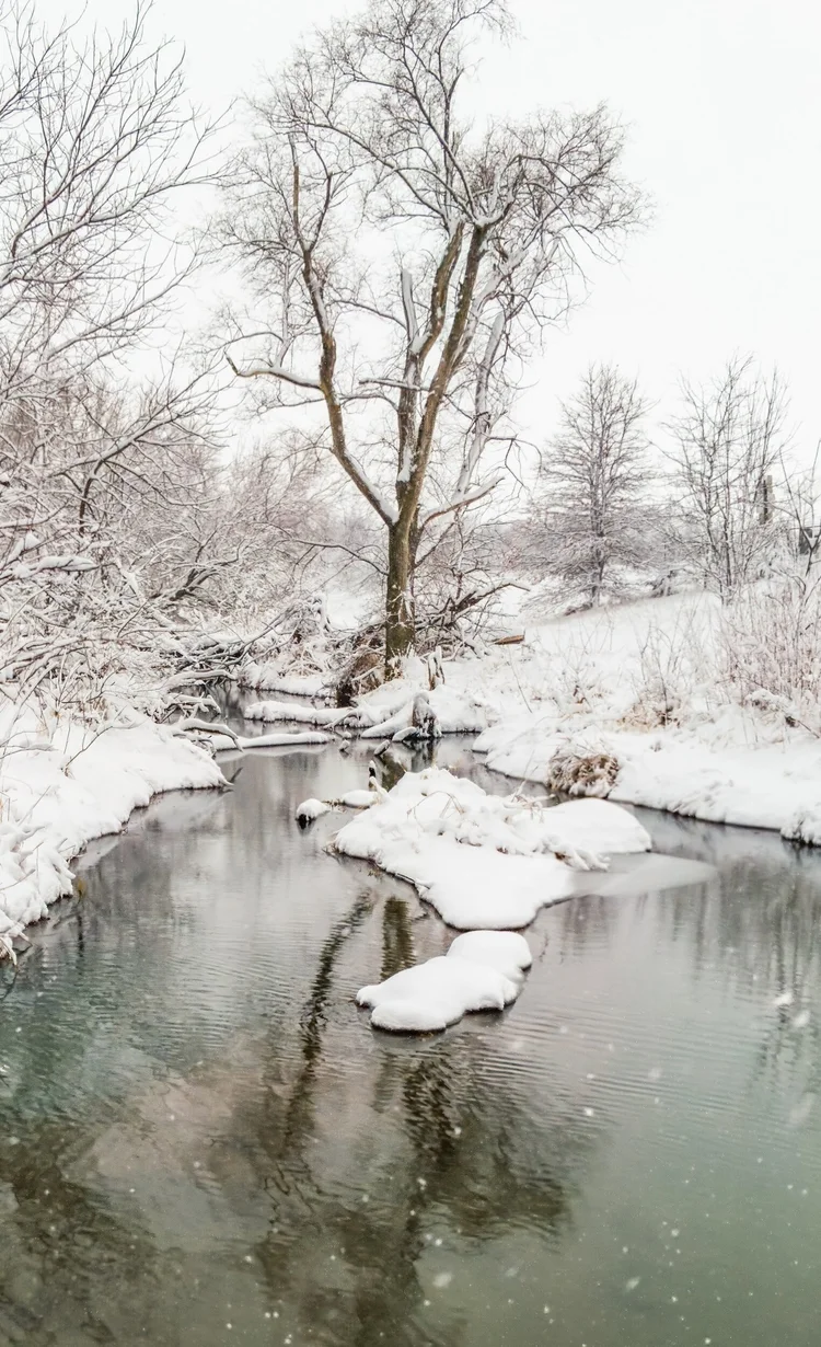 Embrace Winter Wellbeing: Habits, Routines, and Rituals for Seasonal ...
