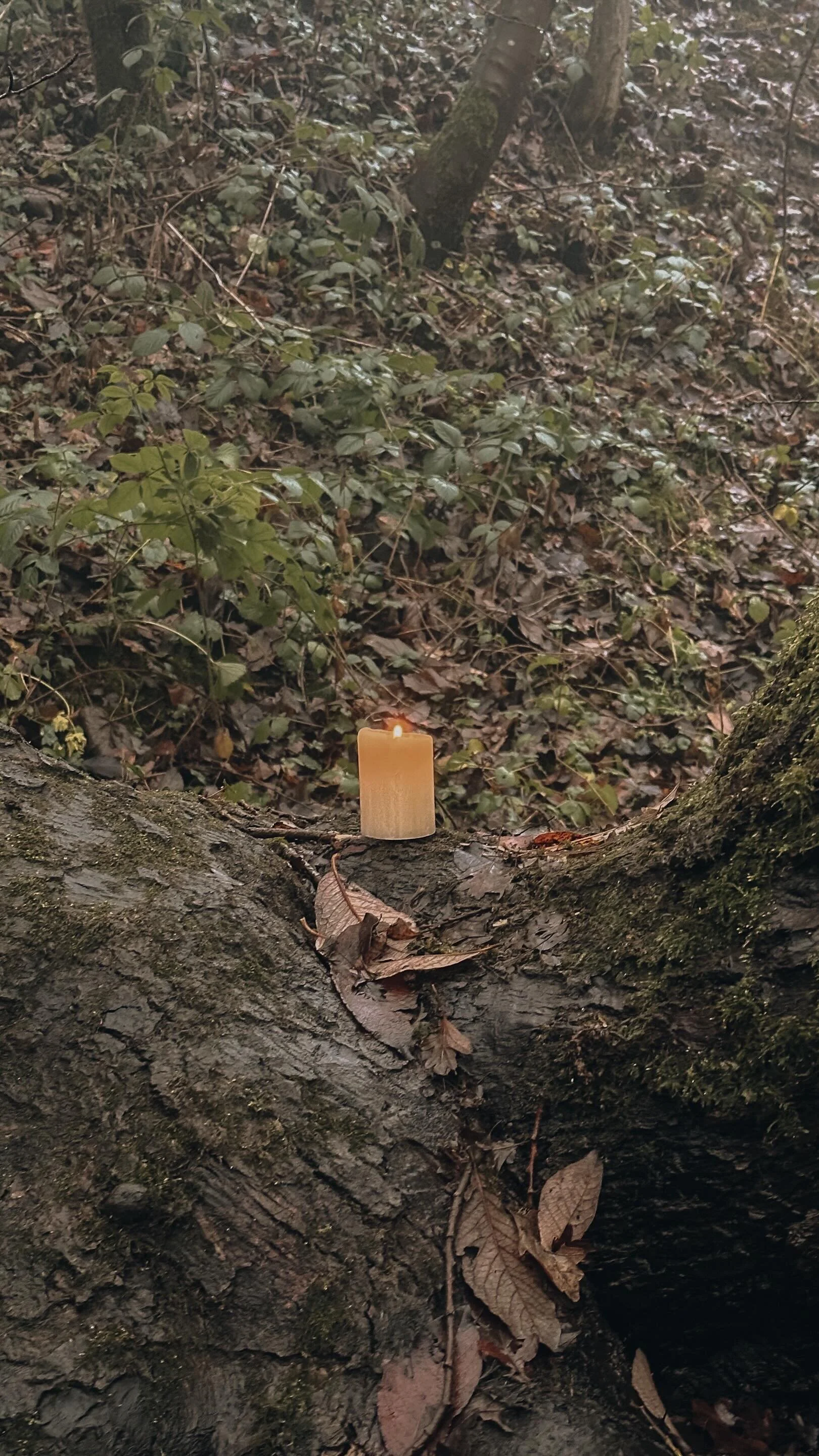 Cyclical vs. Linear Living — Whats the Difference + How it Benefits ...