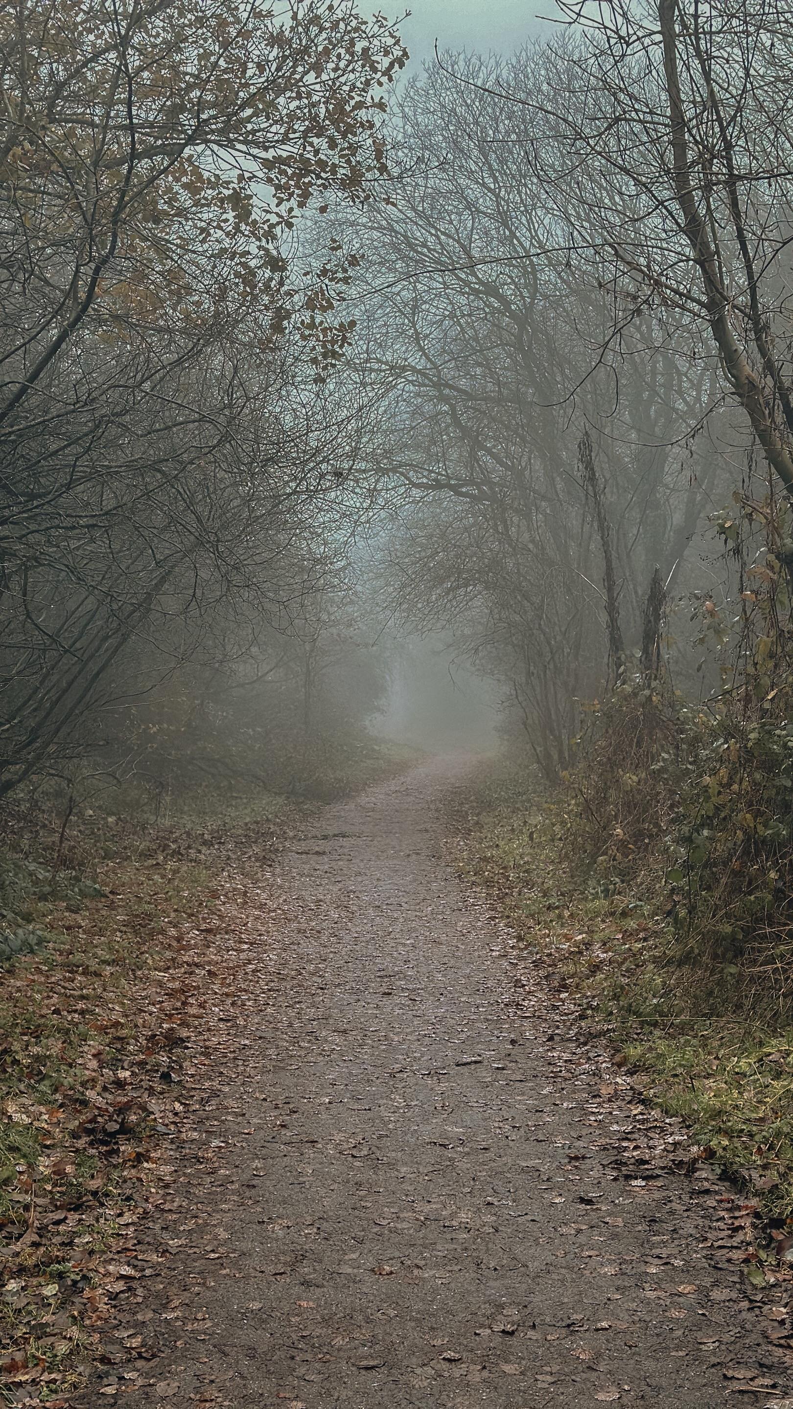 Cyclical vs. Linear Living — Whats the Difference + How it Benefits ...