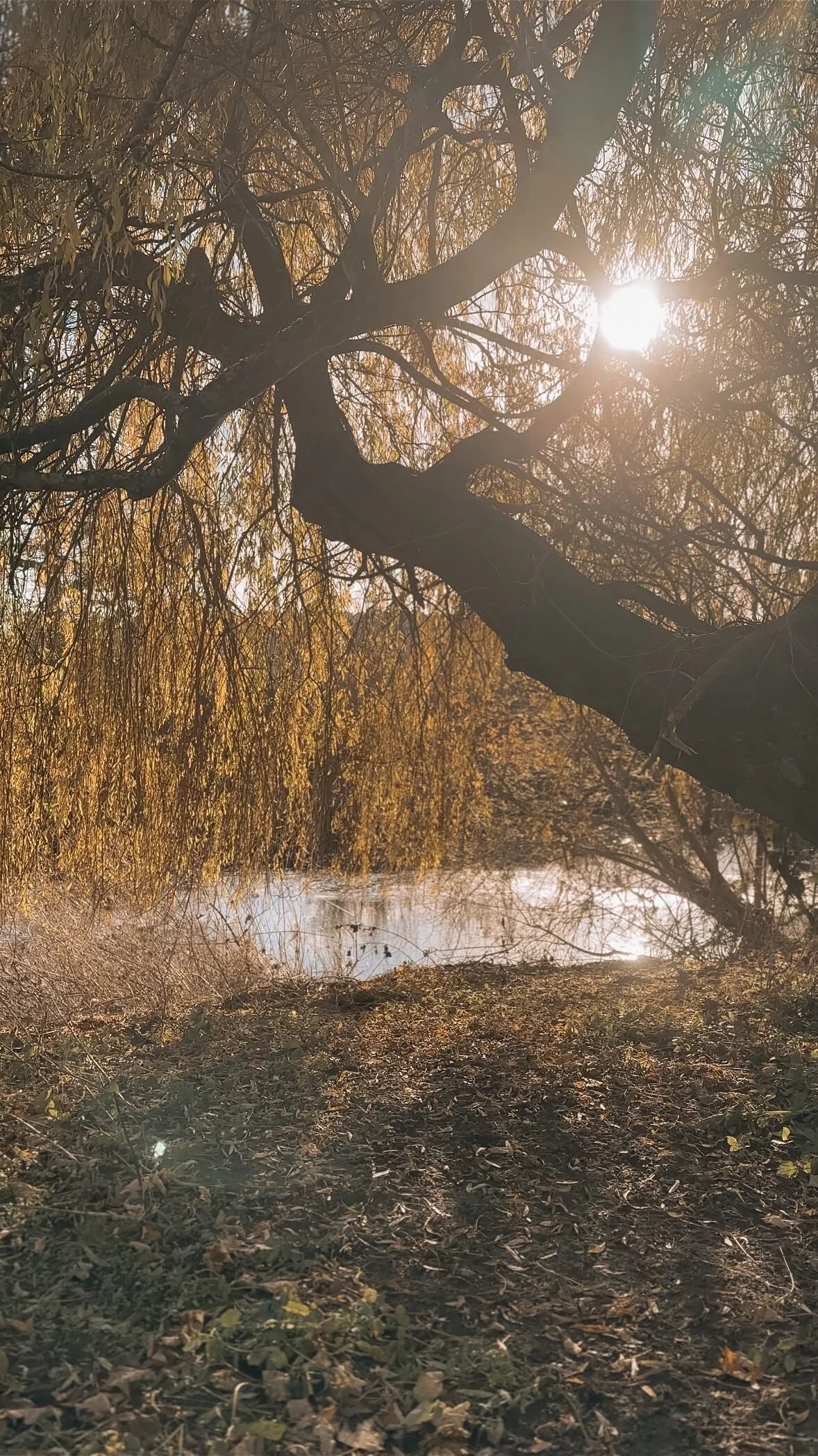 Cyclical vs. Linear Living — Whats the Difference + How it Benefits ...