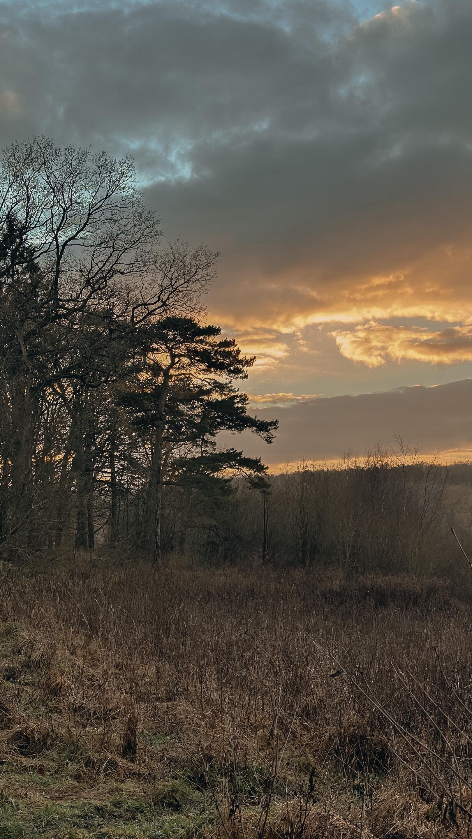 Cyclical vs. Linear Living — Whats the Difference + How it Benefits ...