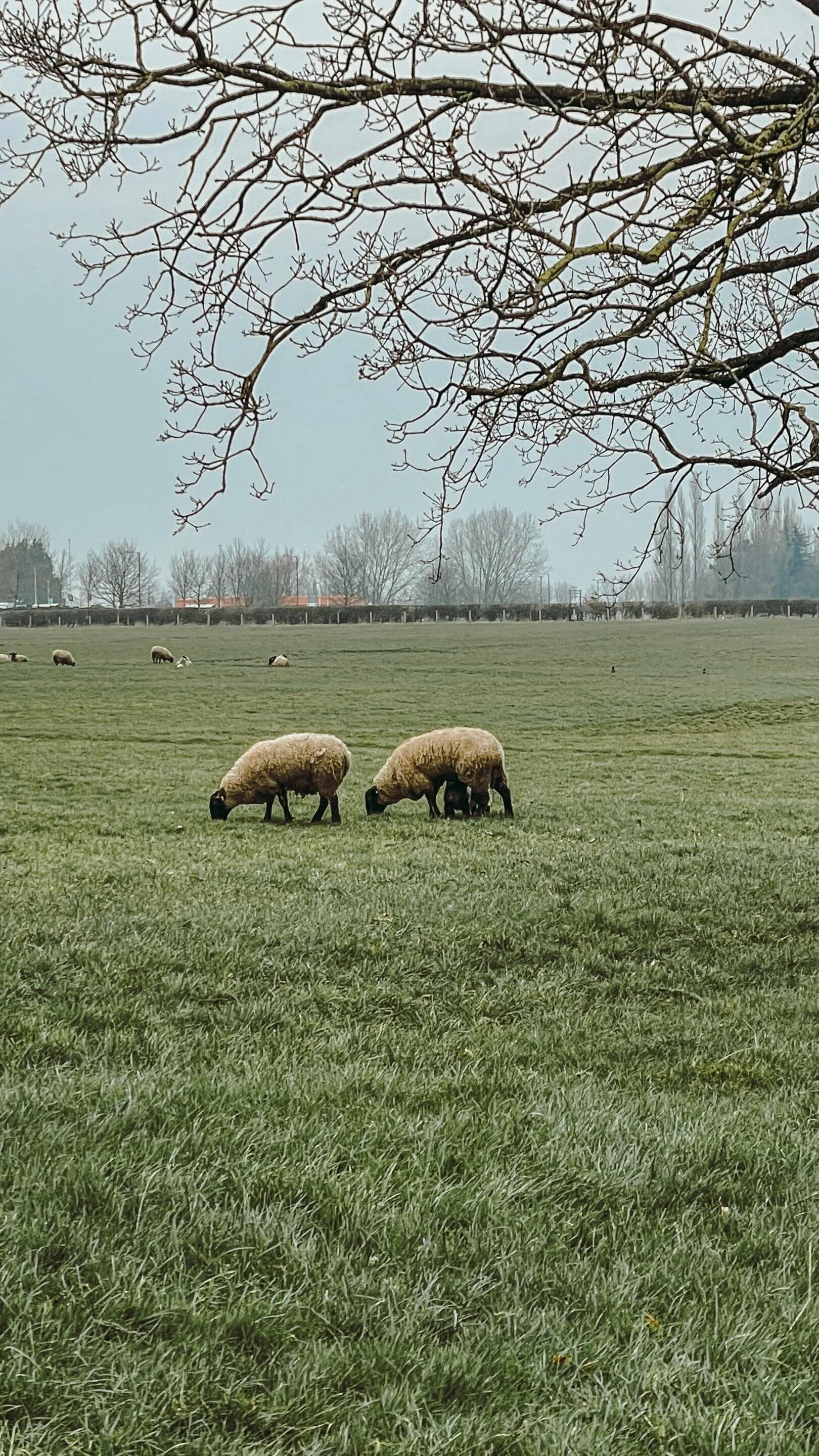 Seven Benefits of Living Seasonally — Emily & the Plants