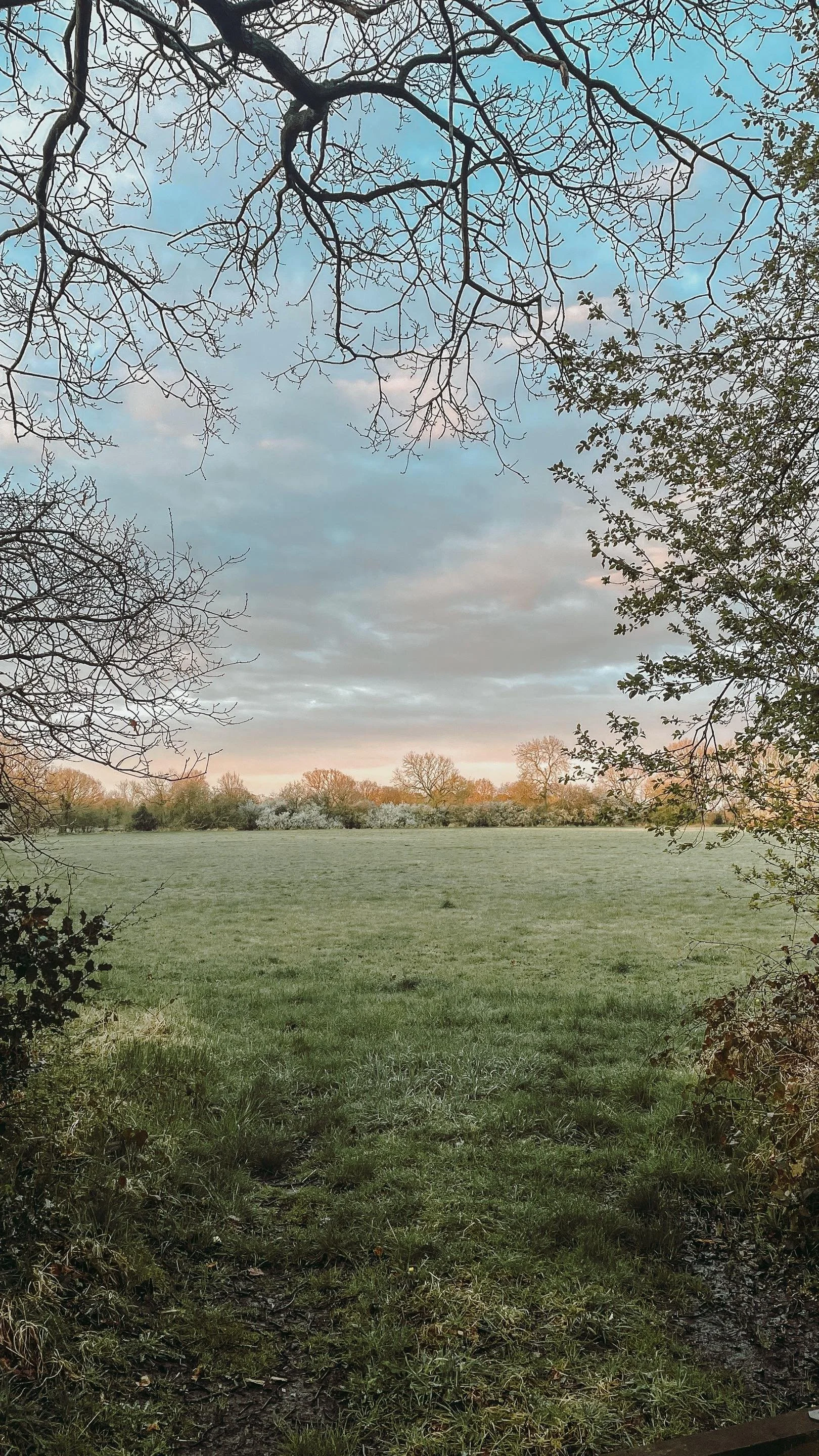 Autumn Health + Wellbeing — Emily & the Plants