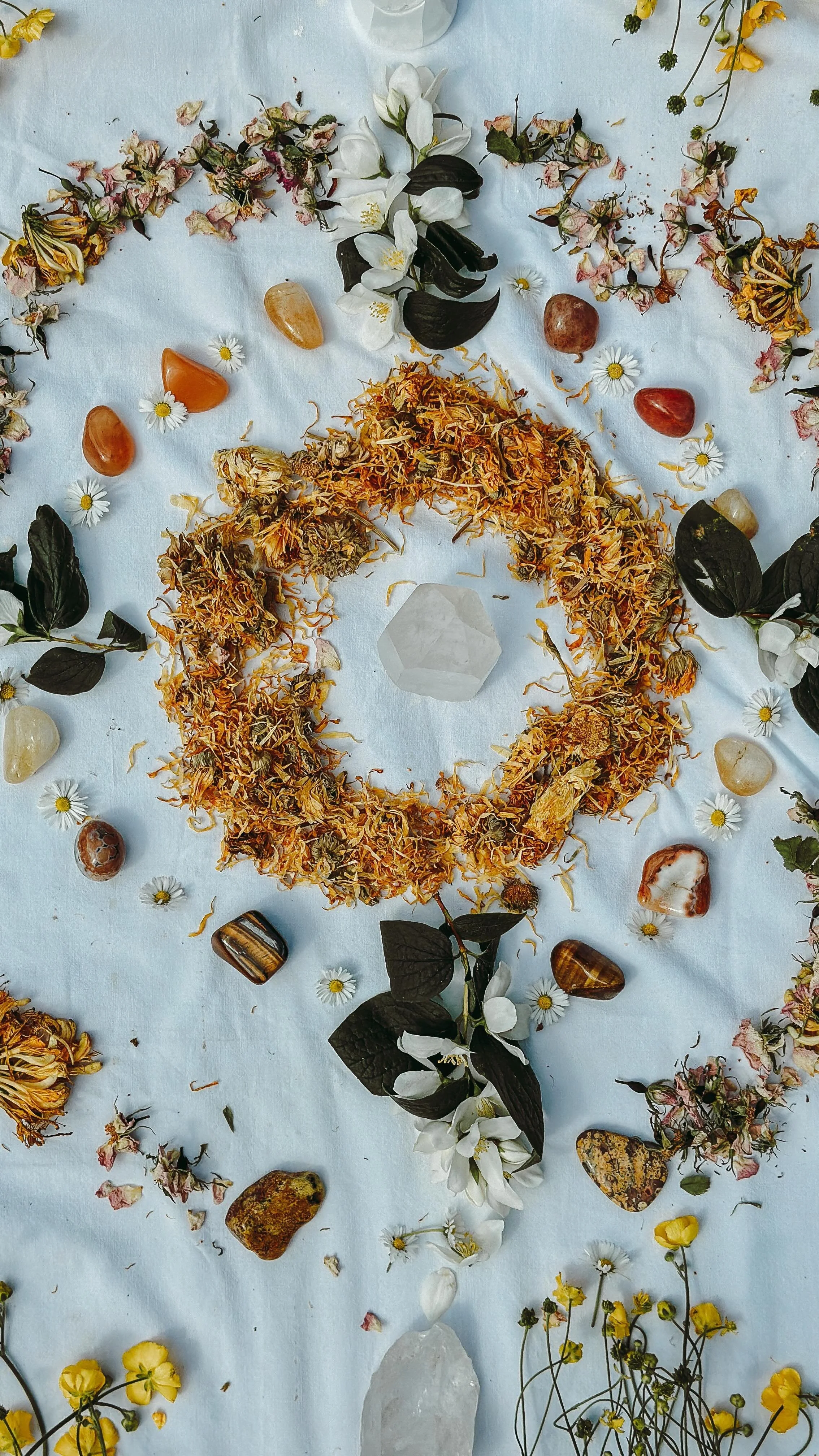 Creating Better Routines for Your Wellbeing; Spring Edition — Emily ...