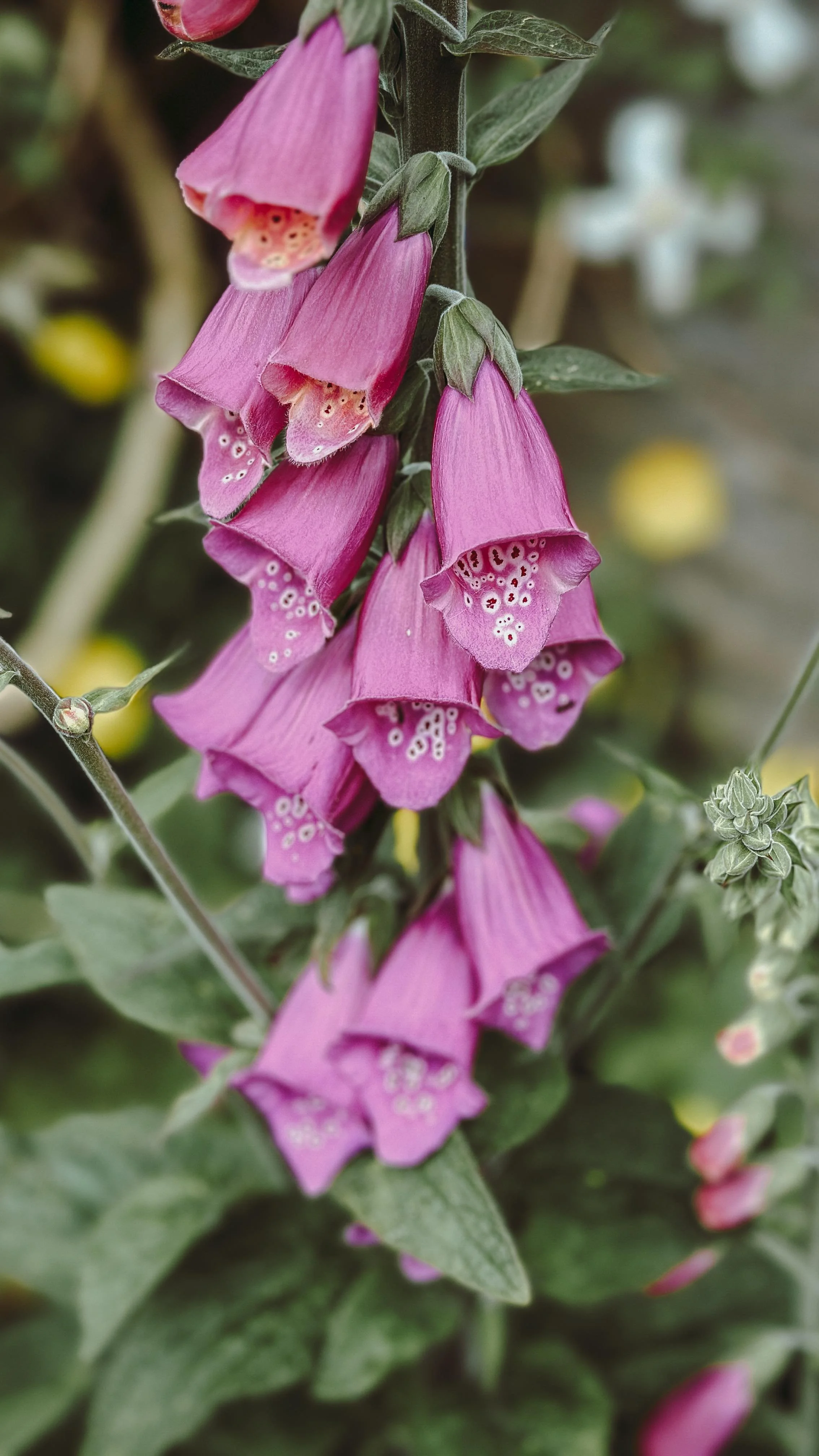 Creating Better Routines for Your Wellbeing; Spring Edition — Emily ...