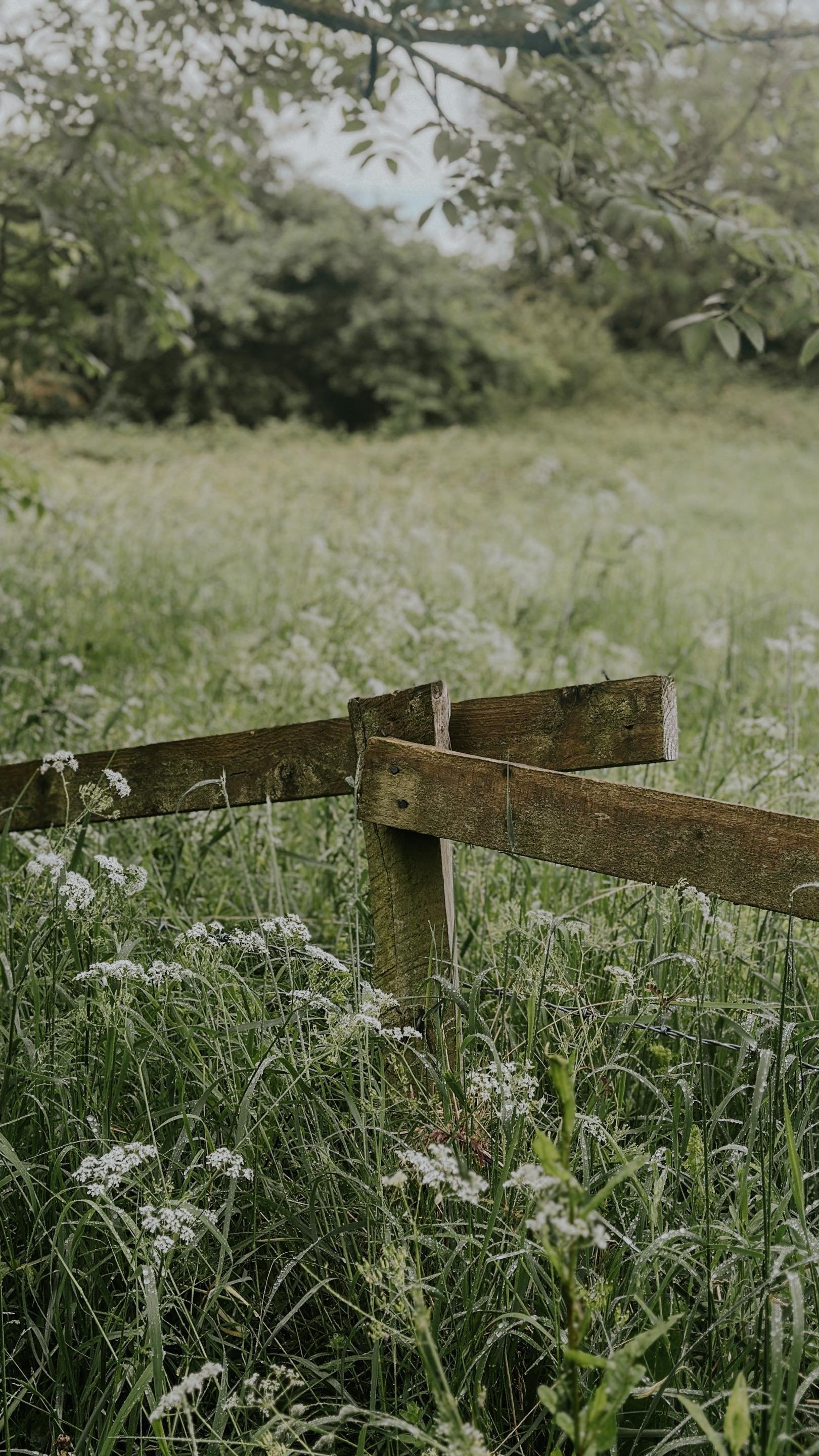 Cyclical vs. Linear Living — Whats the Difference + How it Benefits ...