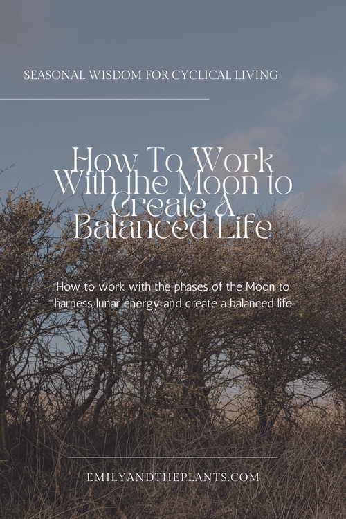 How to Work with the Phases of the Moon: Harnessing Lunar Energy for a ...