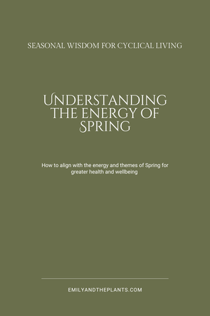 The Energy of Spring — Emily & the Plants