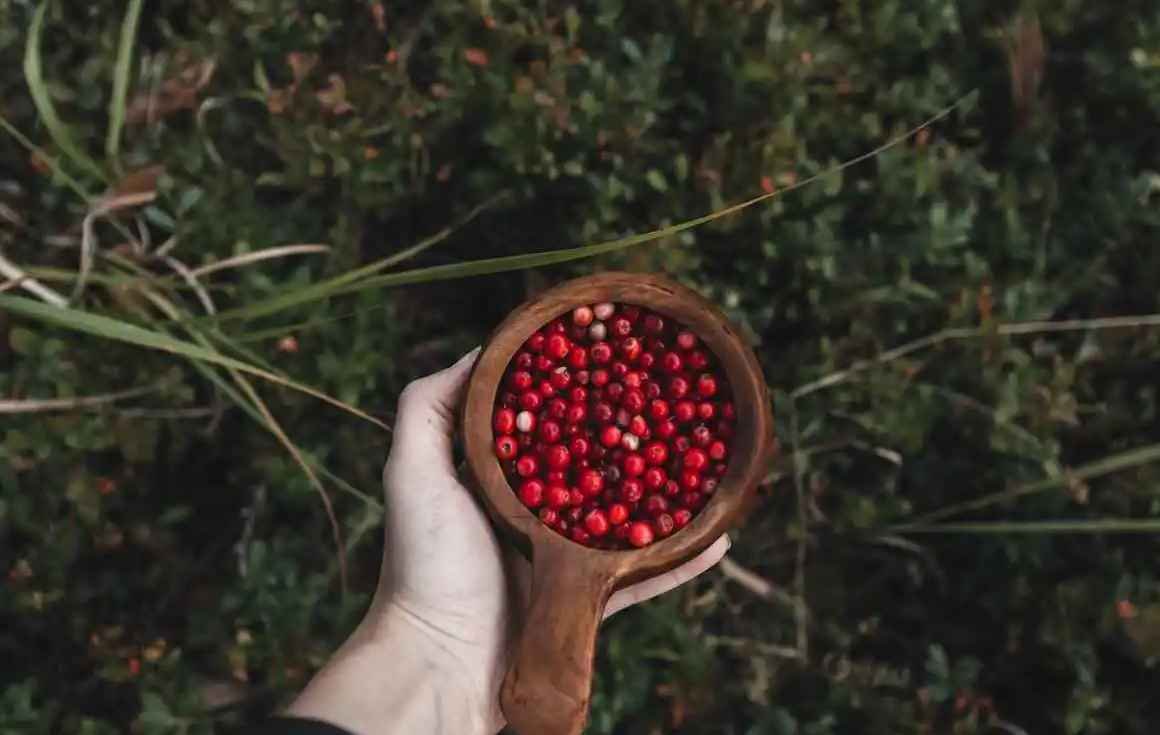 Seasonal Alchemy; Your Guide to Live & Work With the Seasons — Emily ...