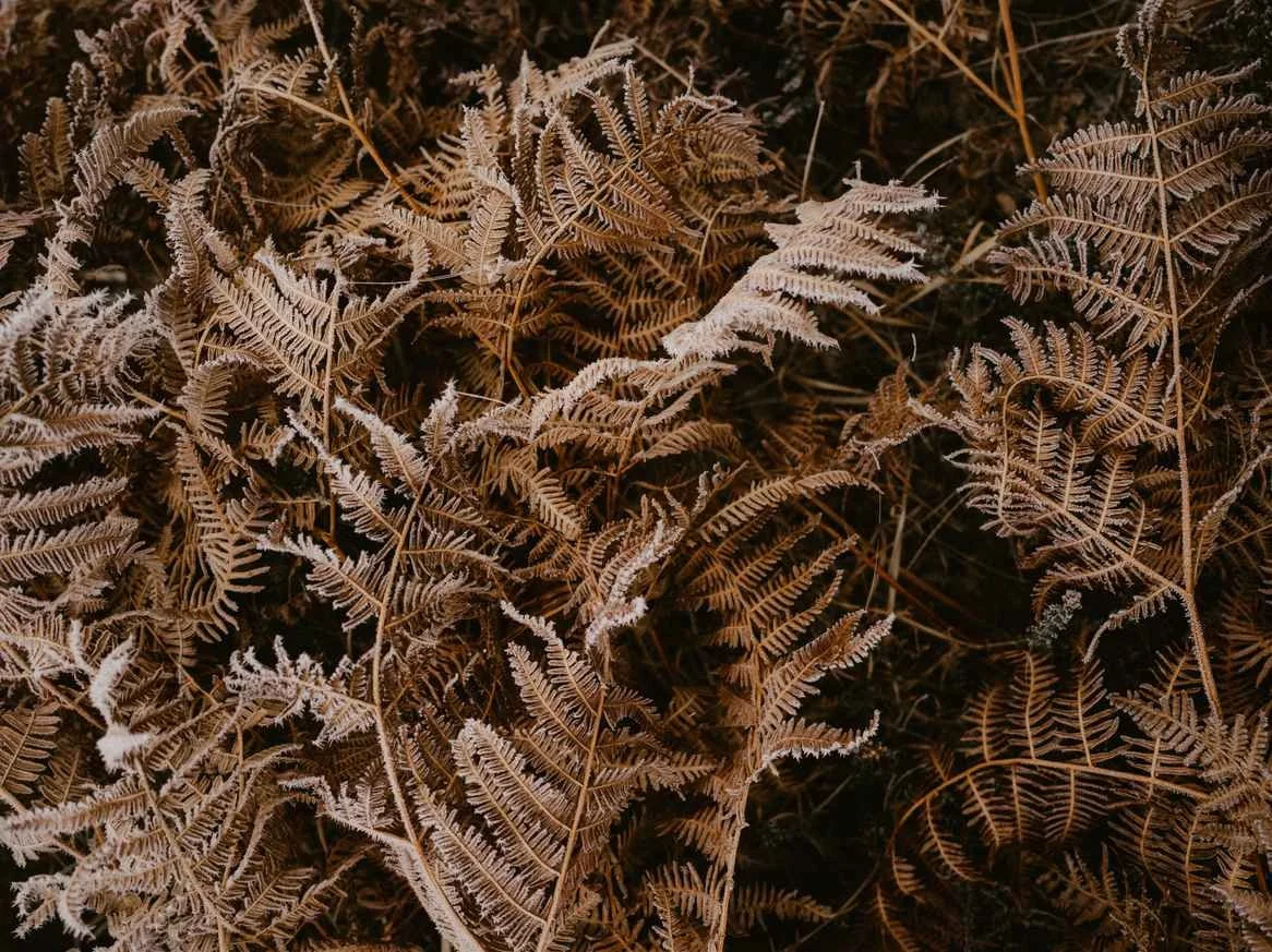 Creating Better Routines for You AND Your Wellbeing ; Autumn Edition ...