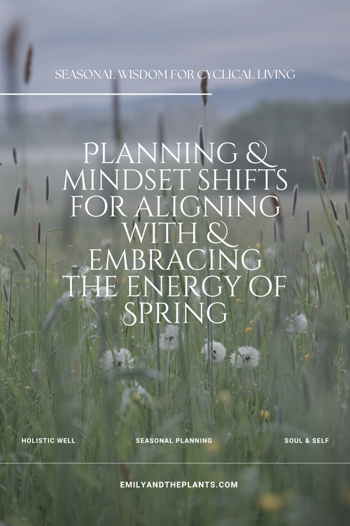 6 Ways to Plan your Spring seasonally & Holistically — Emily & the Plants