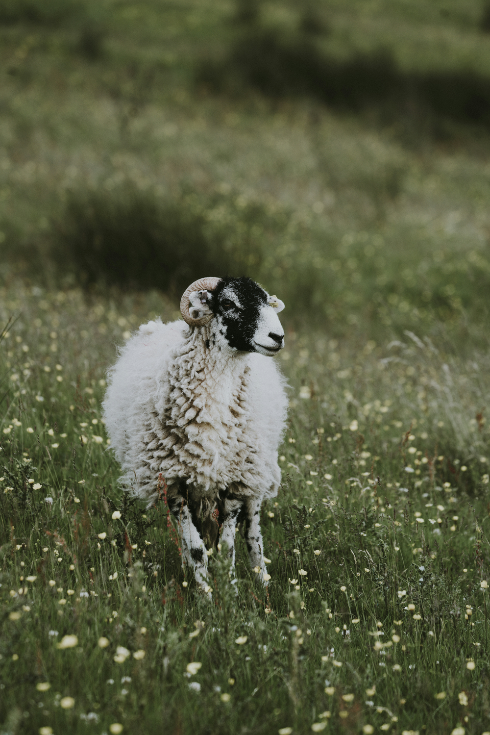 The Astrology of Spring and How it Supports Your Growth, Forward ...