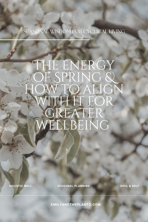 The Energy of Spring — Emily & the Plants