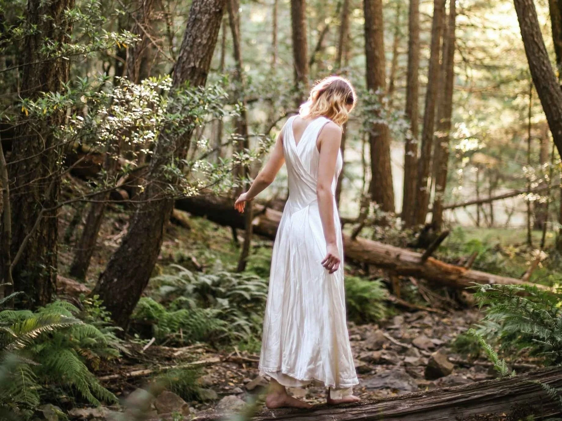 Rooted & Intentional Habits | Transform Your Lifestyle — Emily & the Plants