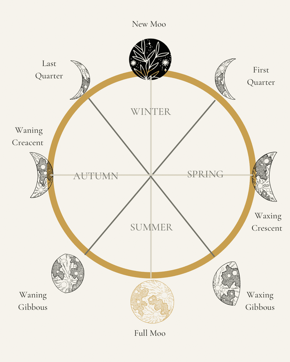 Using the Phases of the Moon for Better Energy + Focus — Emily + the Plants