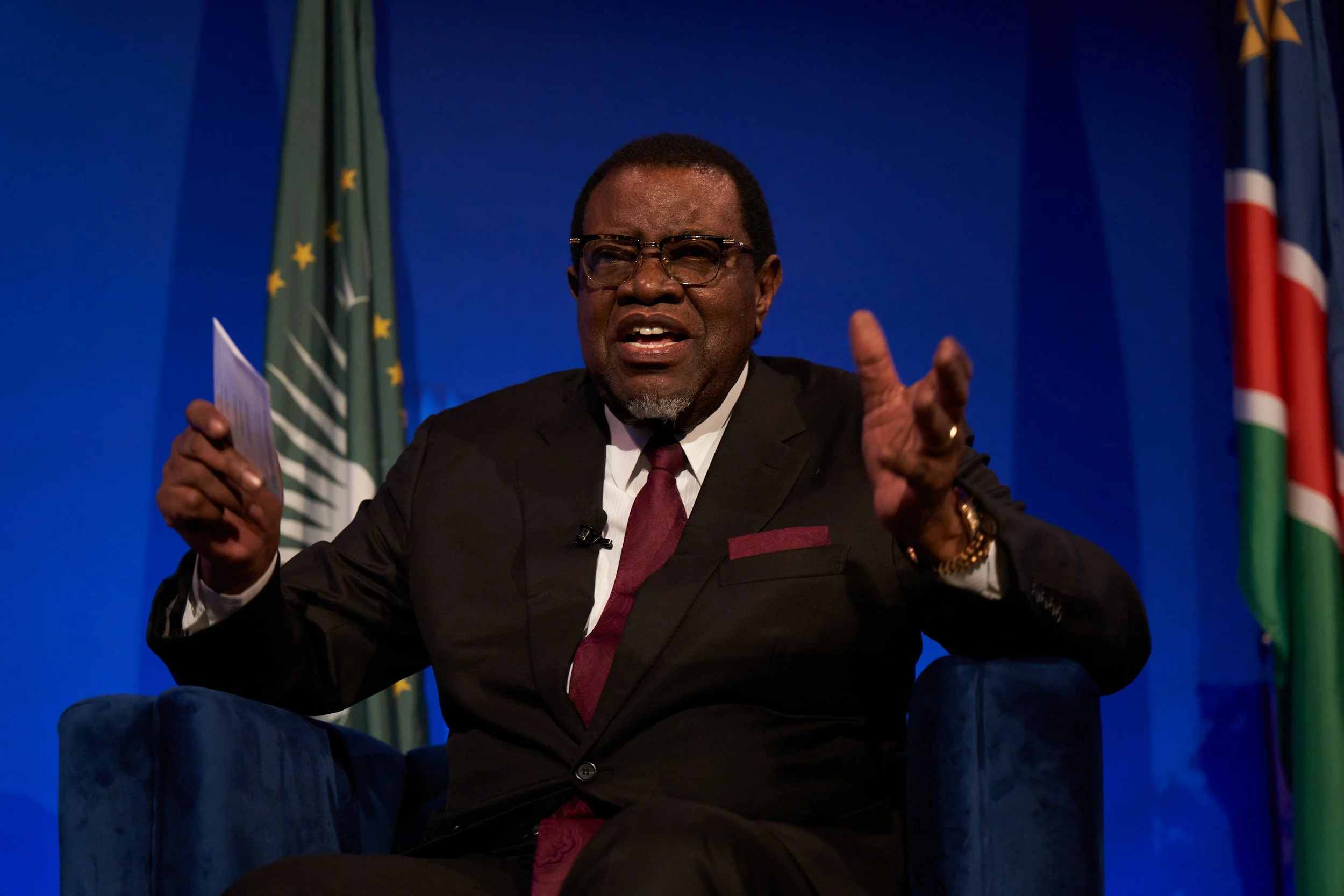 Remembering President Geingob — THE AFRICA-AMERICA INSTITUTE