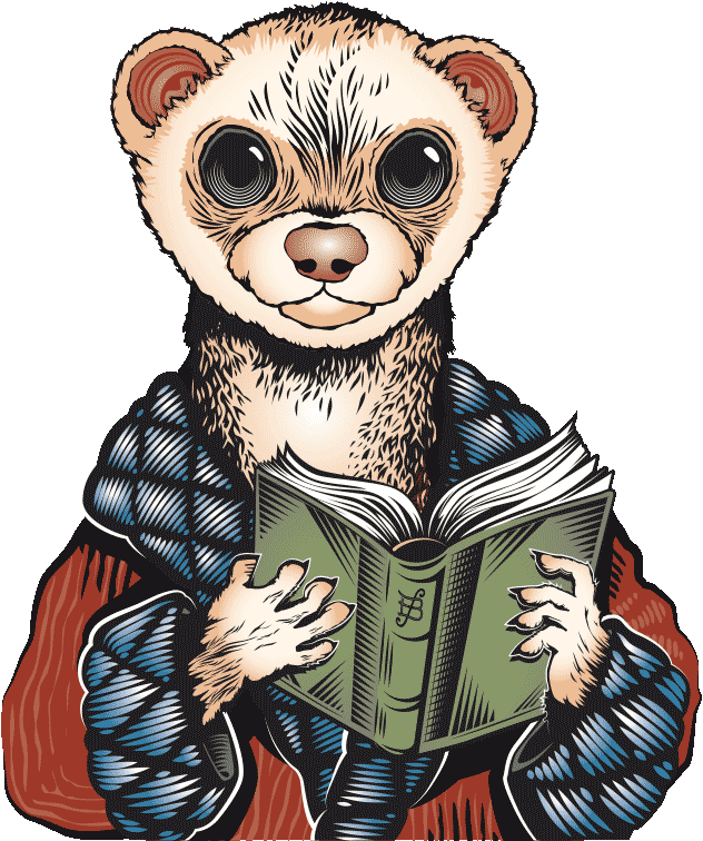 Book Ferret | New and used bookstore in Winston-Salem, NC