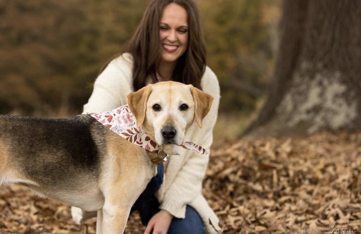 About — Insiemi Psychotherapy