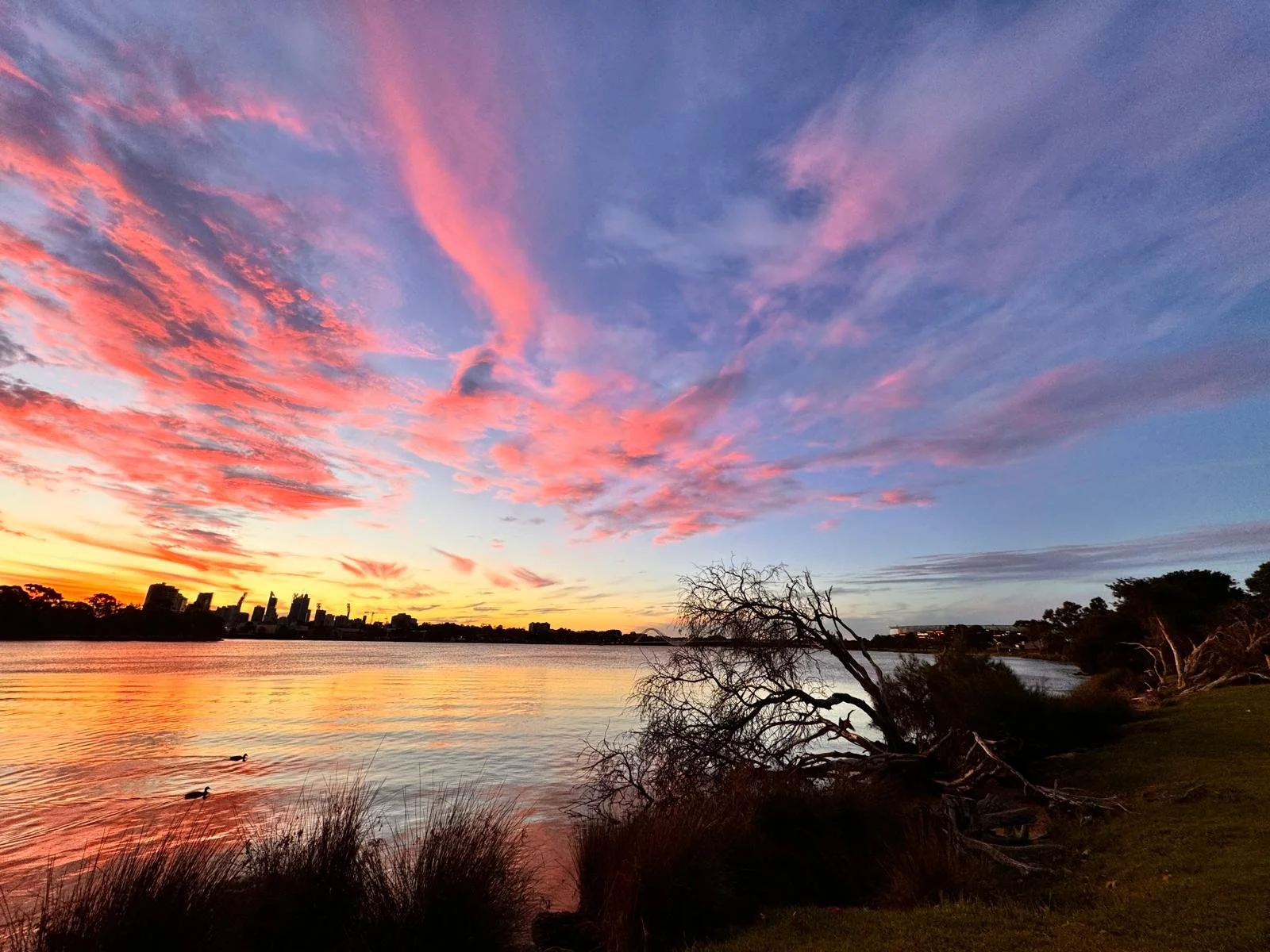 Los 10 Mejores Lugares que Visitar en Perth, Australia | Guía 2025 ...